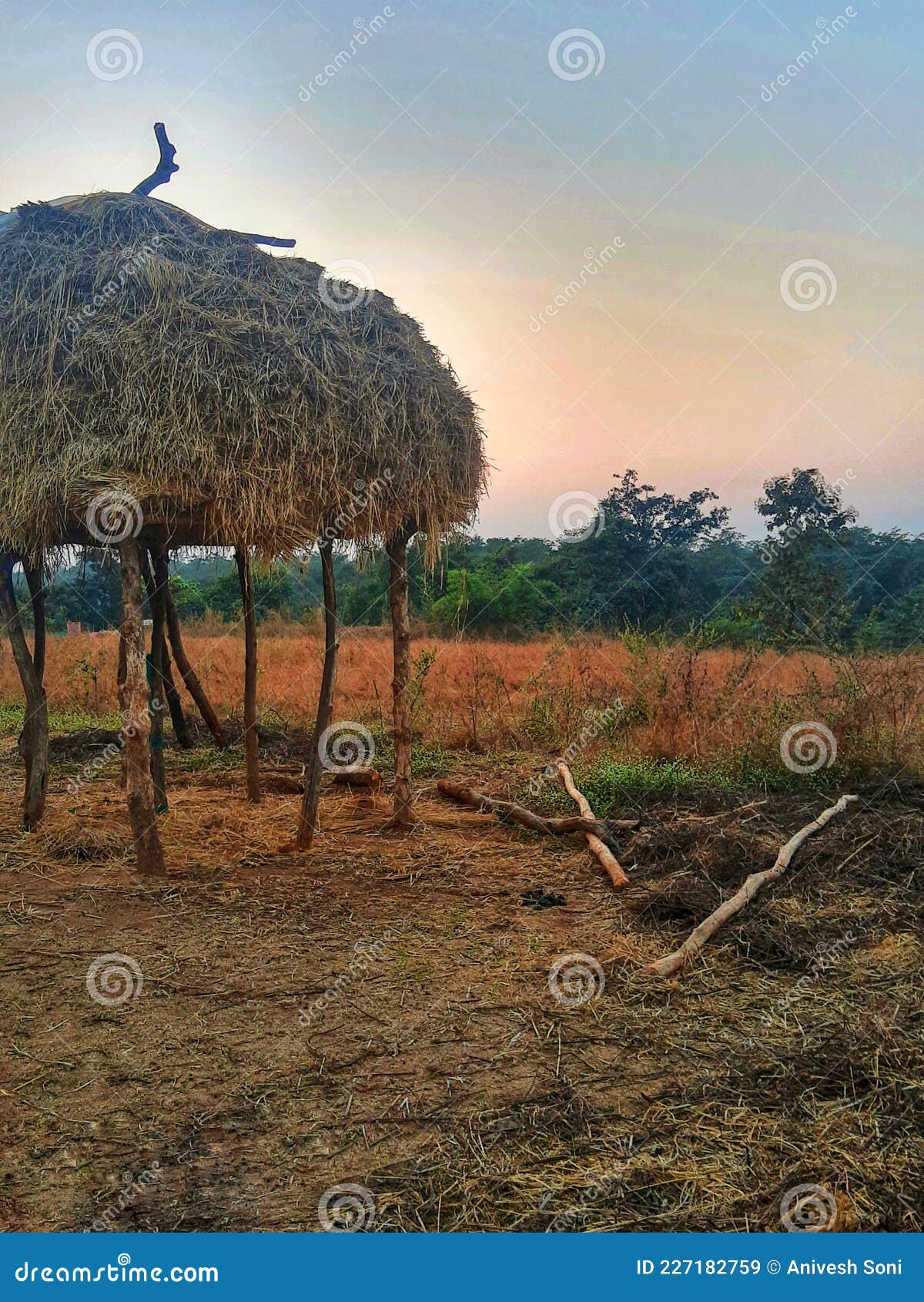 Fields of Indian villages stock image. Image of field - 227182759