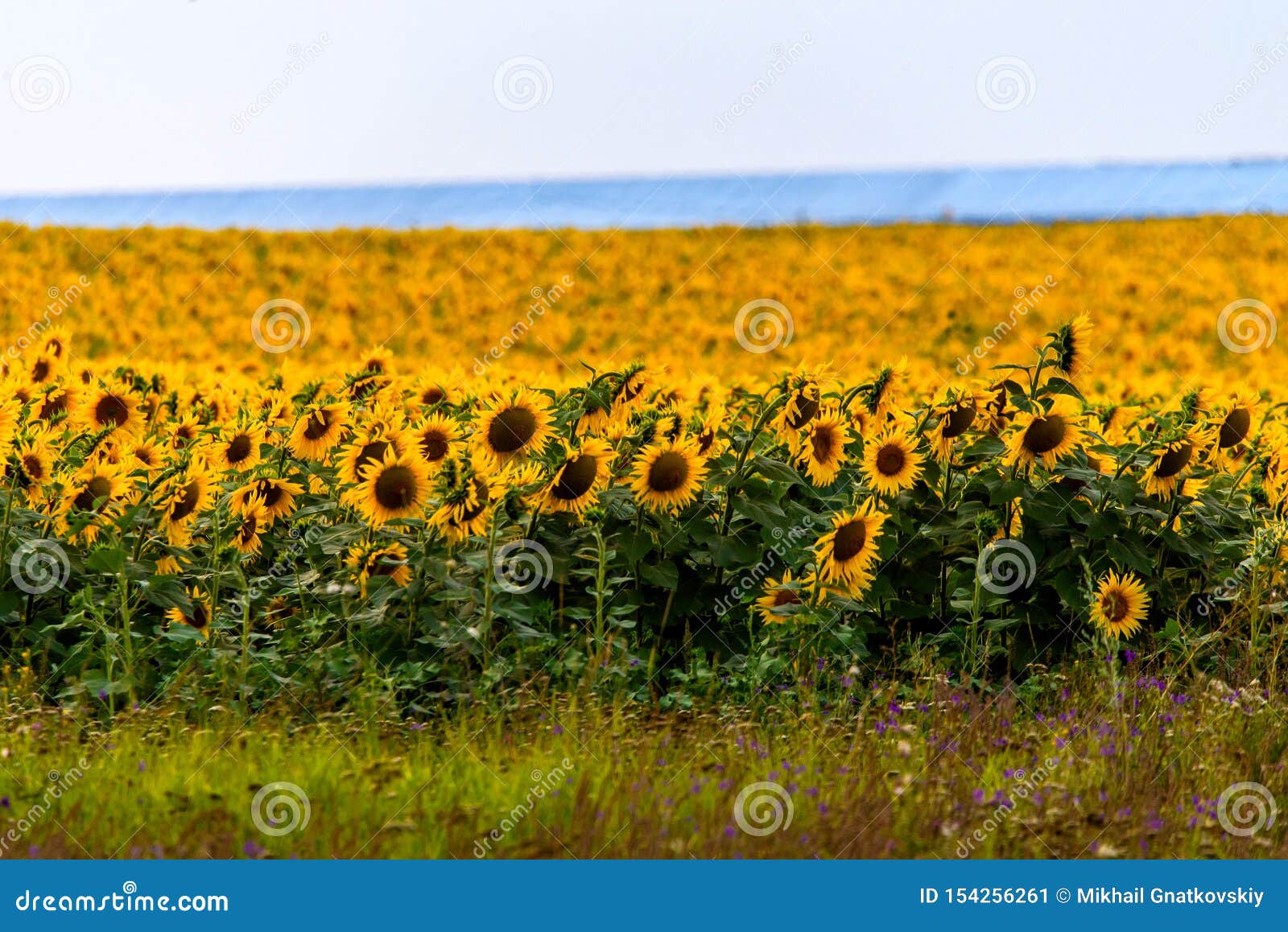 4,040 Infinite Beauty Nature Stock Photos - Free & Royalty-Free Stock ...