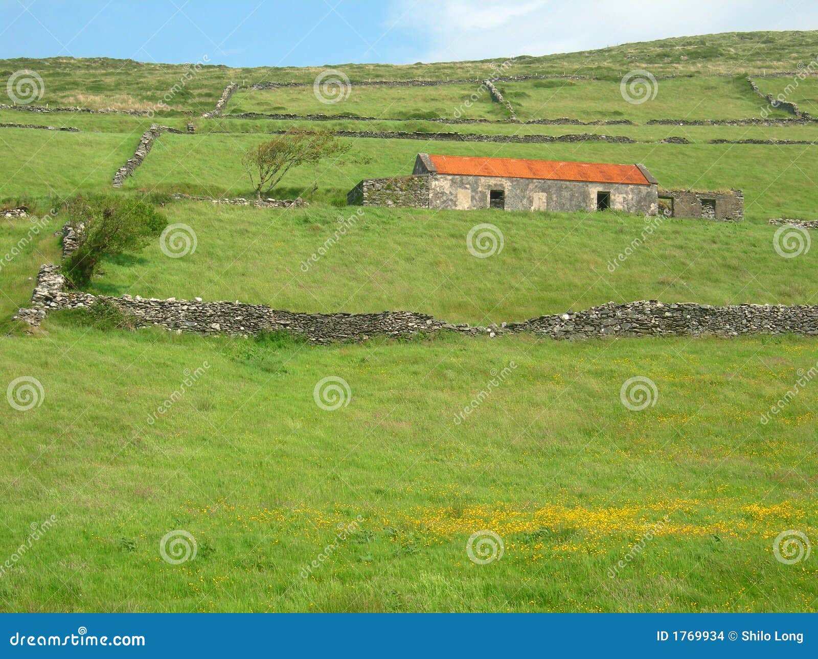 Fields of Ireland - Landscape Stock Photo - Image of mountain, lonely ...