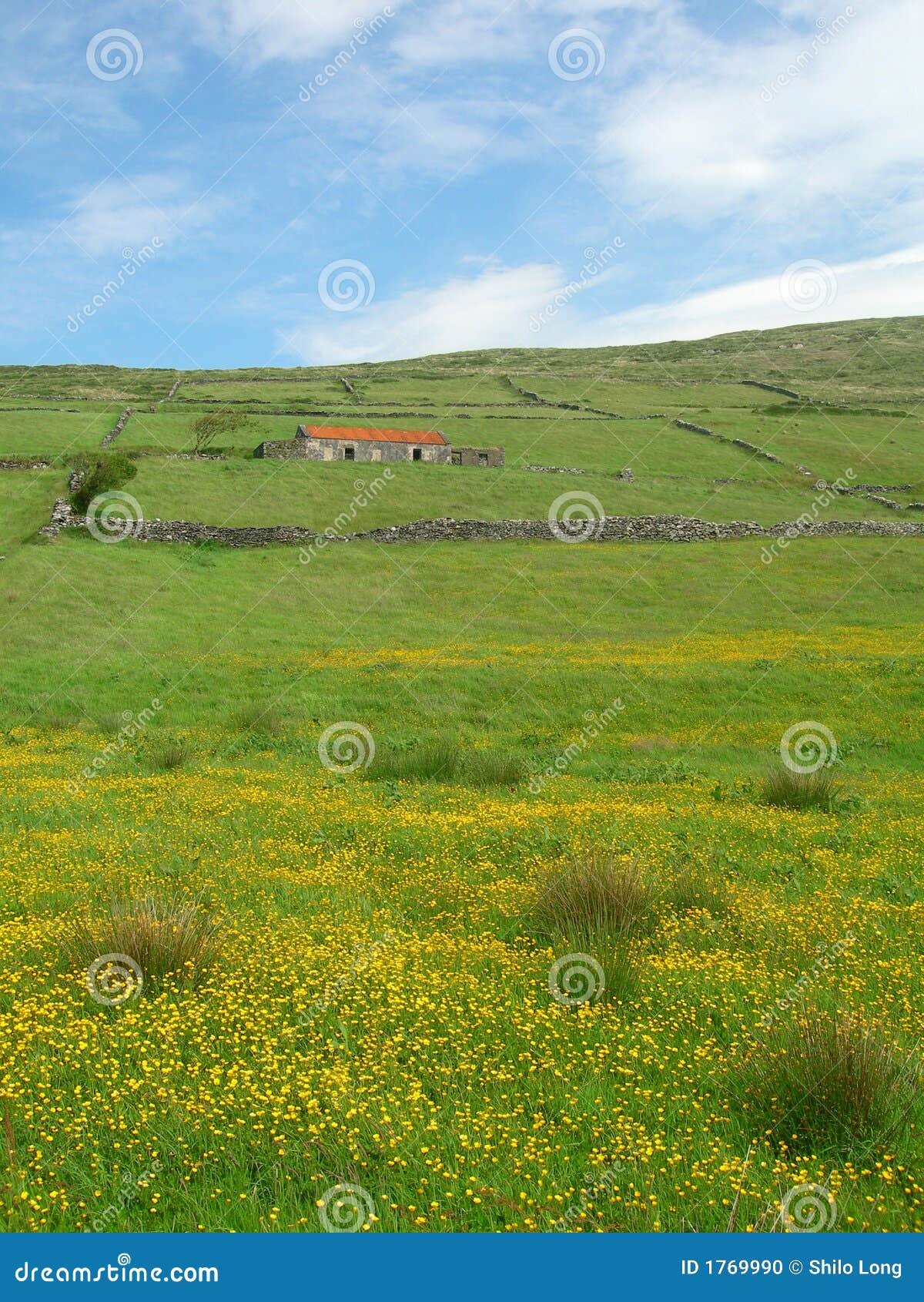Fields of Ireland - Portrait Stock Photo - Image of deserted, irish ...