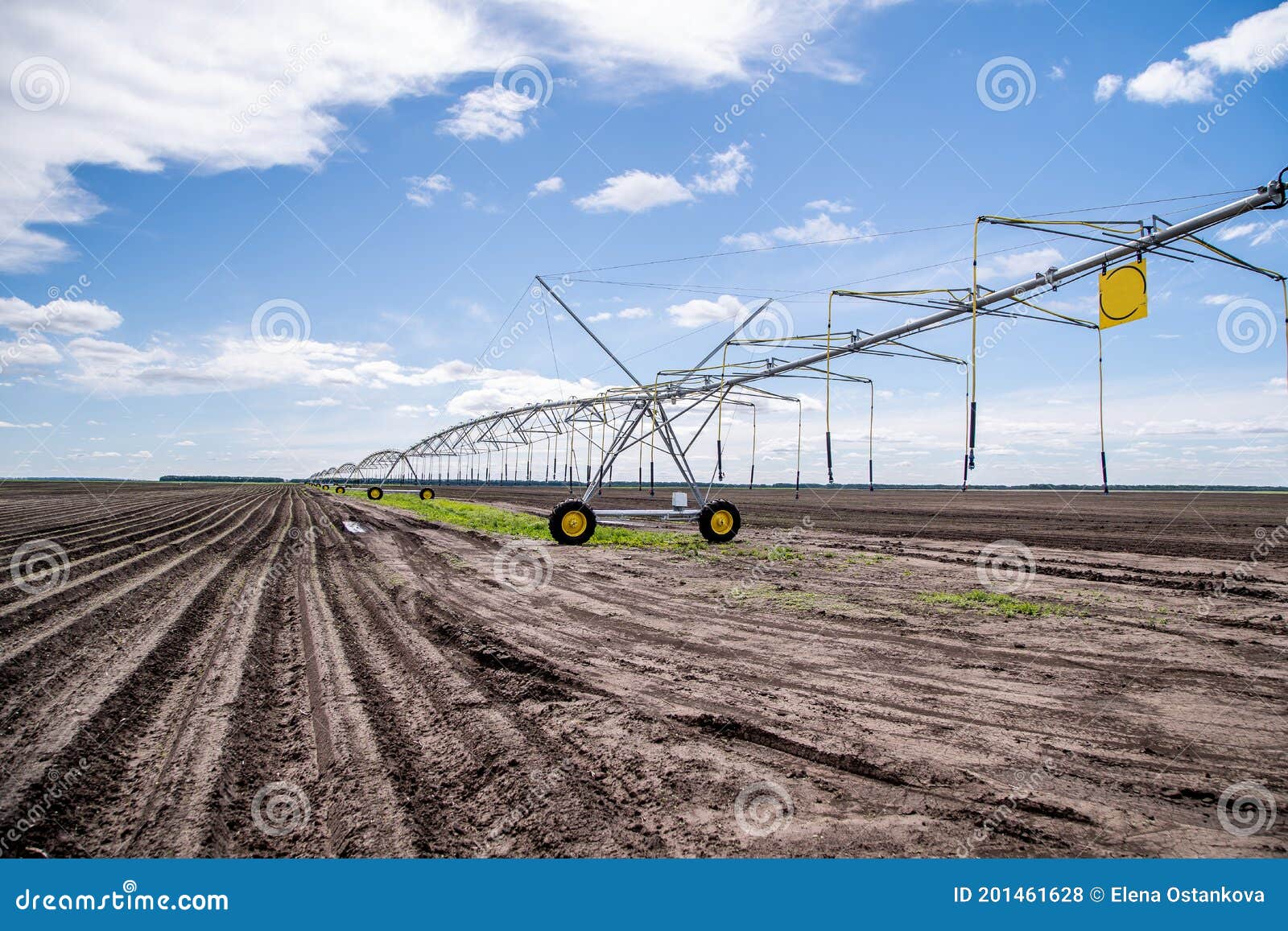 Fields with an Irrigation System Stock Photo - Image of sprinkler, farm ...