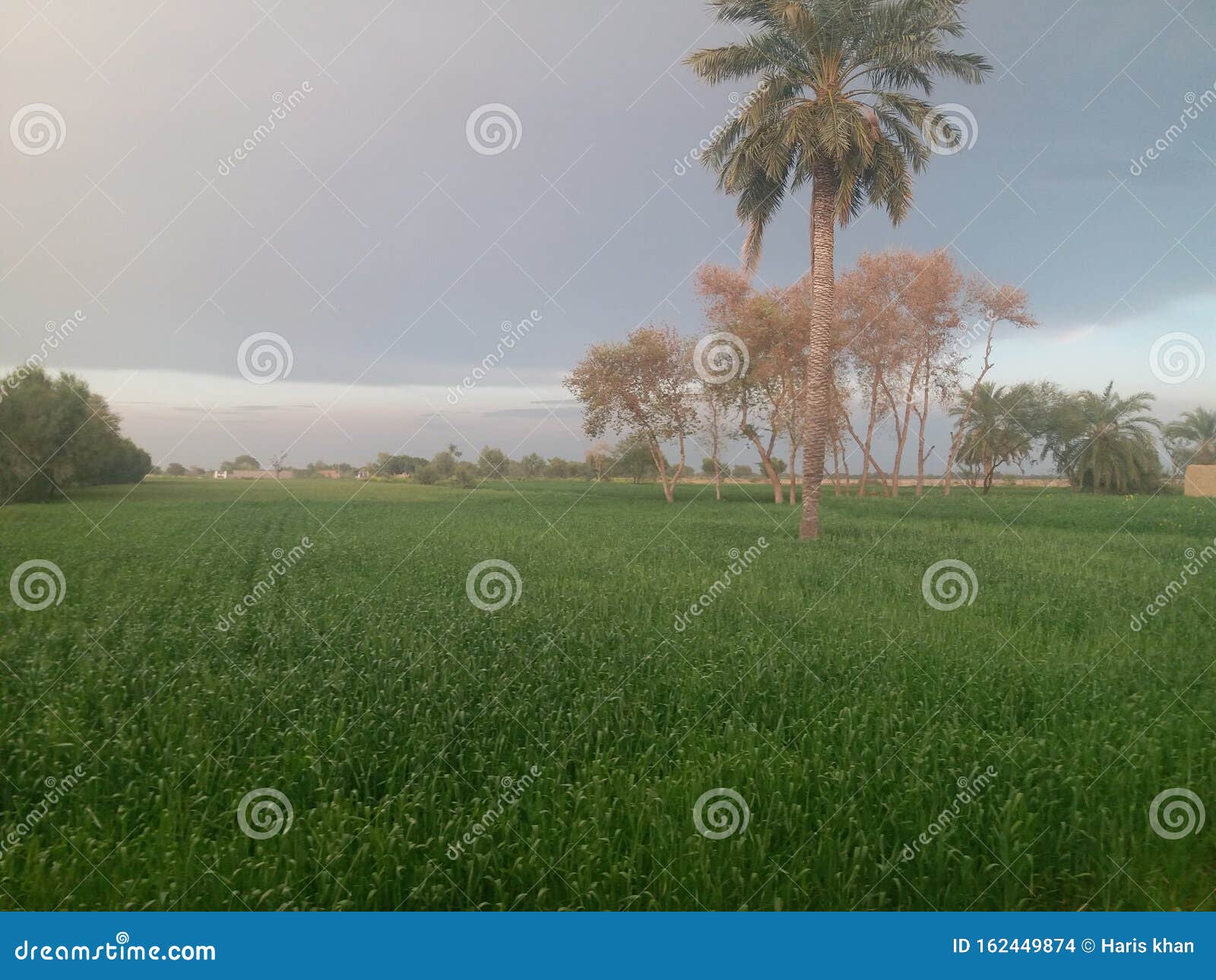 Fields in Lakki Marwat KPK in Pakistan Stock Photo - Image of marwat ...