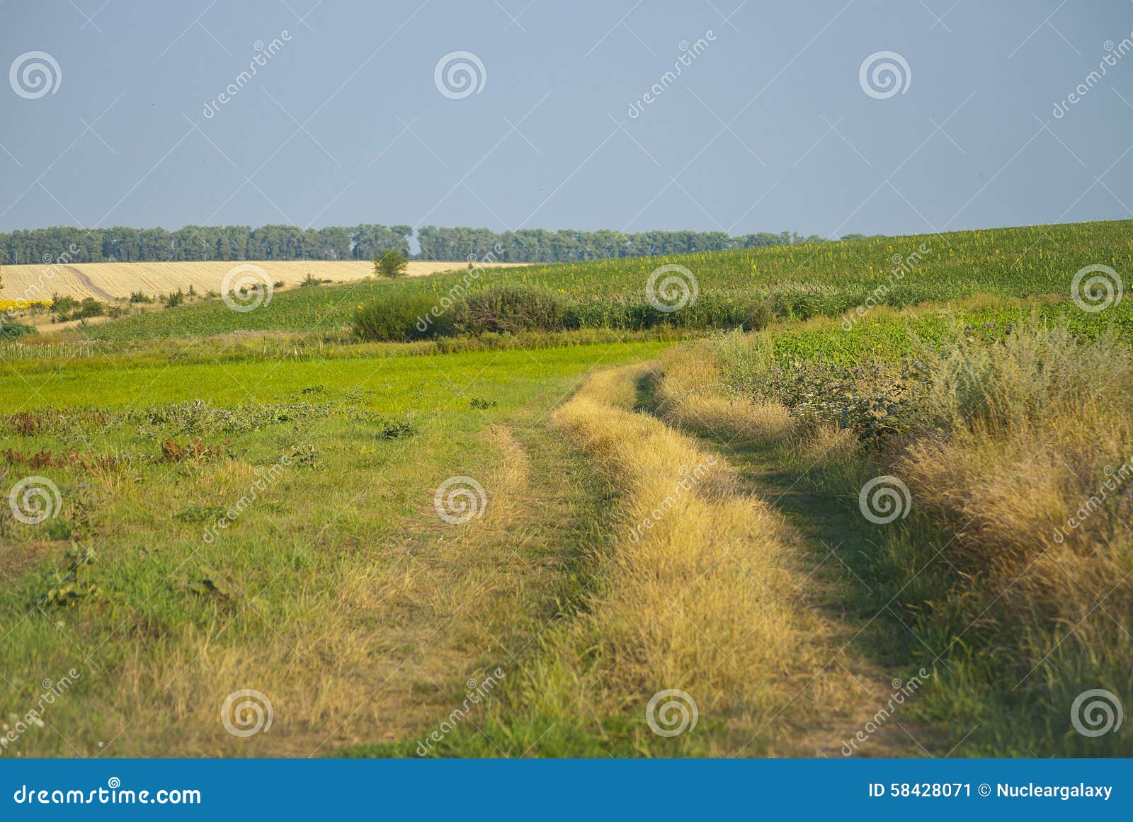 Fields in late summer stock image. Image of agriculture - 58428071 Fields in late summer stock image. Image of agriculture - 58428071