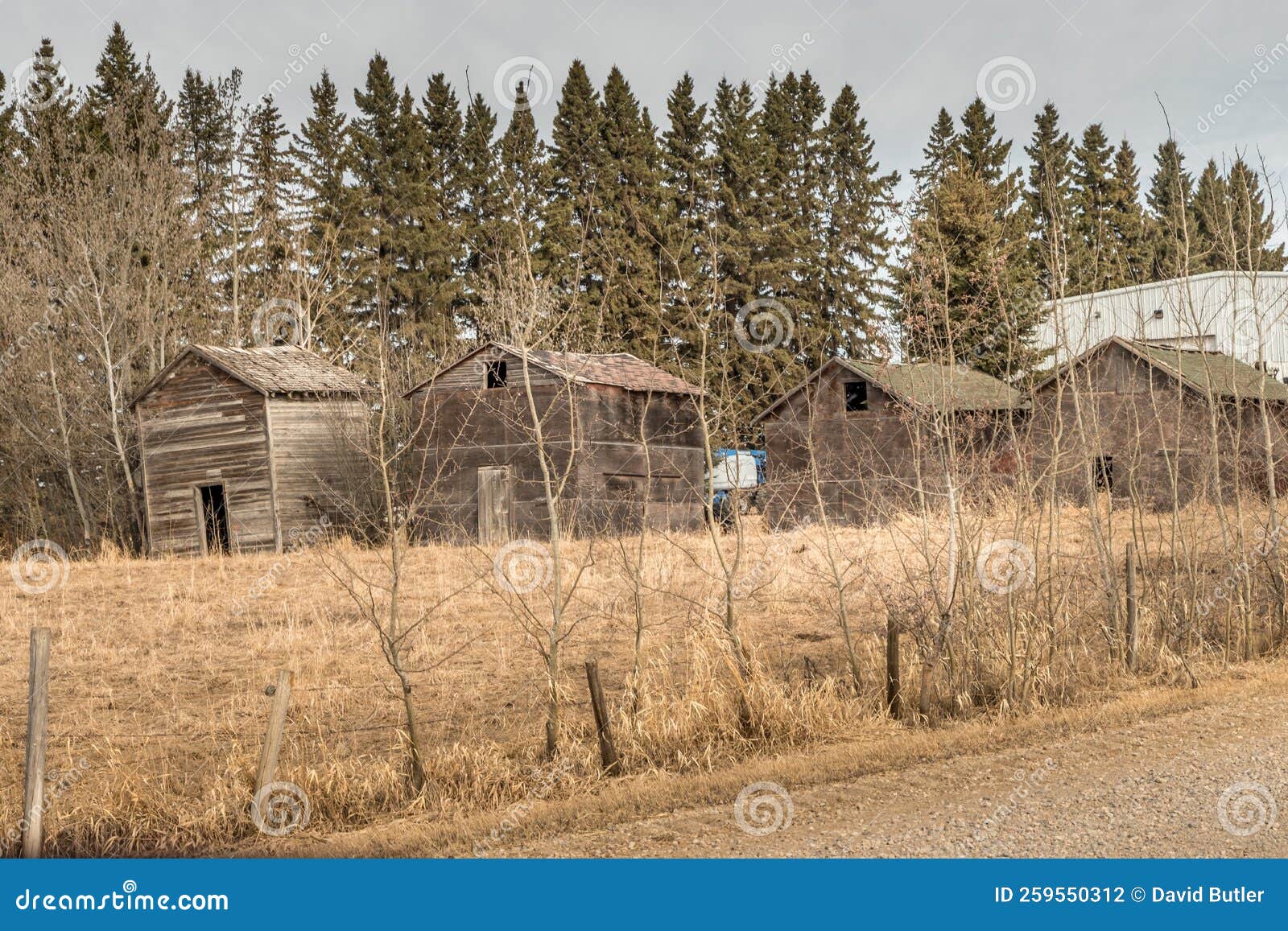 Fields Marshes Rustic Out Buildings Red Deer County Alberta Canada ...