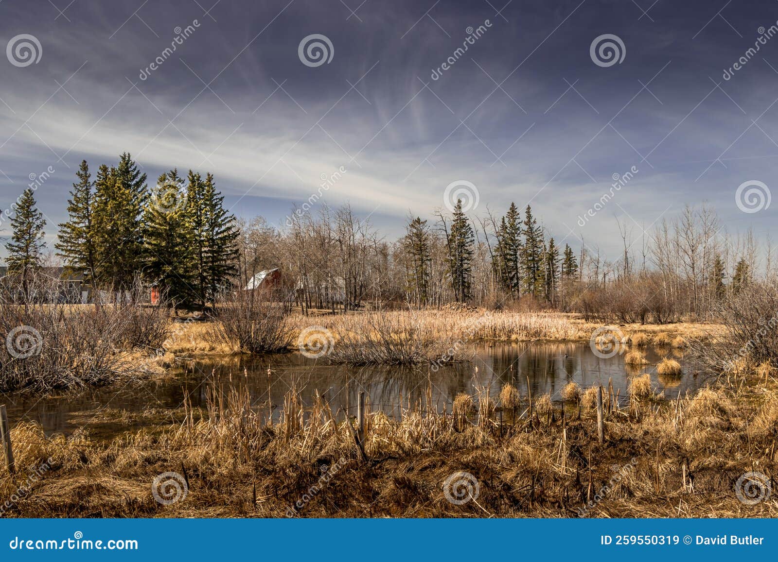 Fields Marshes Rustic Out Buildings Red Deer County Alberta Canada ...