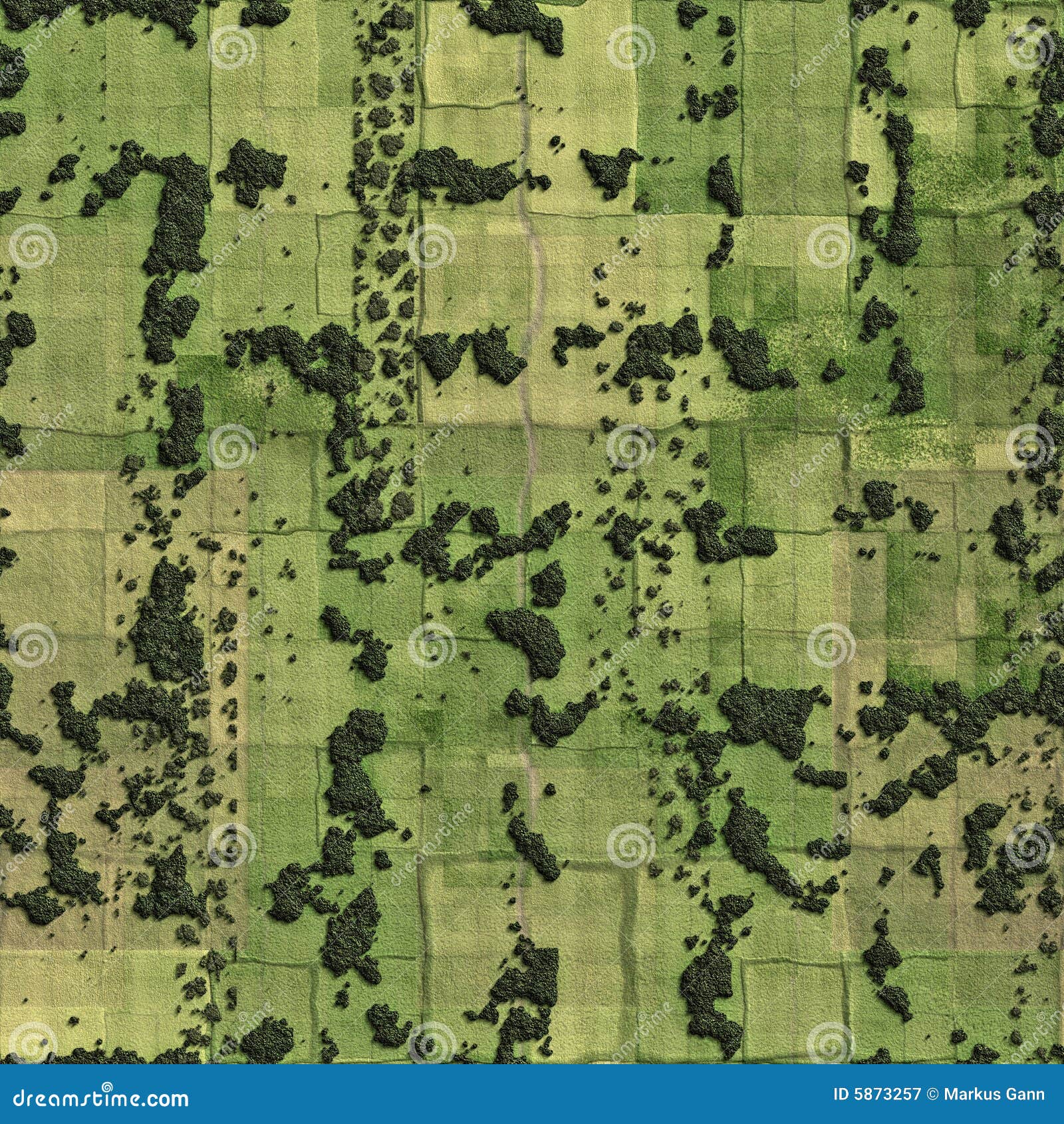 Fields and Meadow Bird View Stock Illustration - Illustration of ...