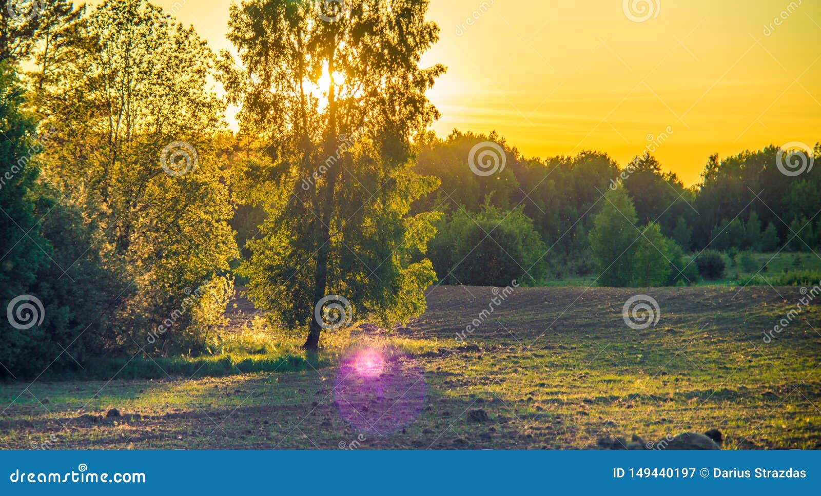 Fields and Meadow Evening Nature Stock Image - Image of fields, sunset ...