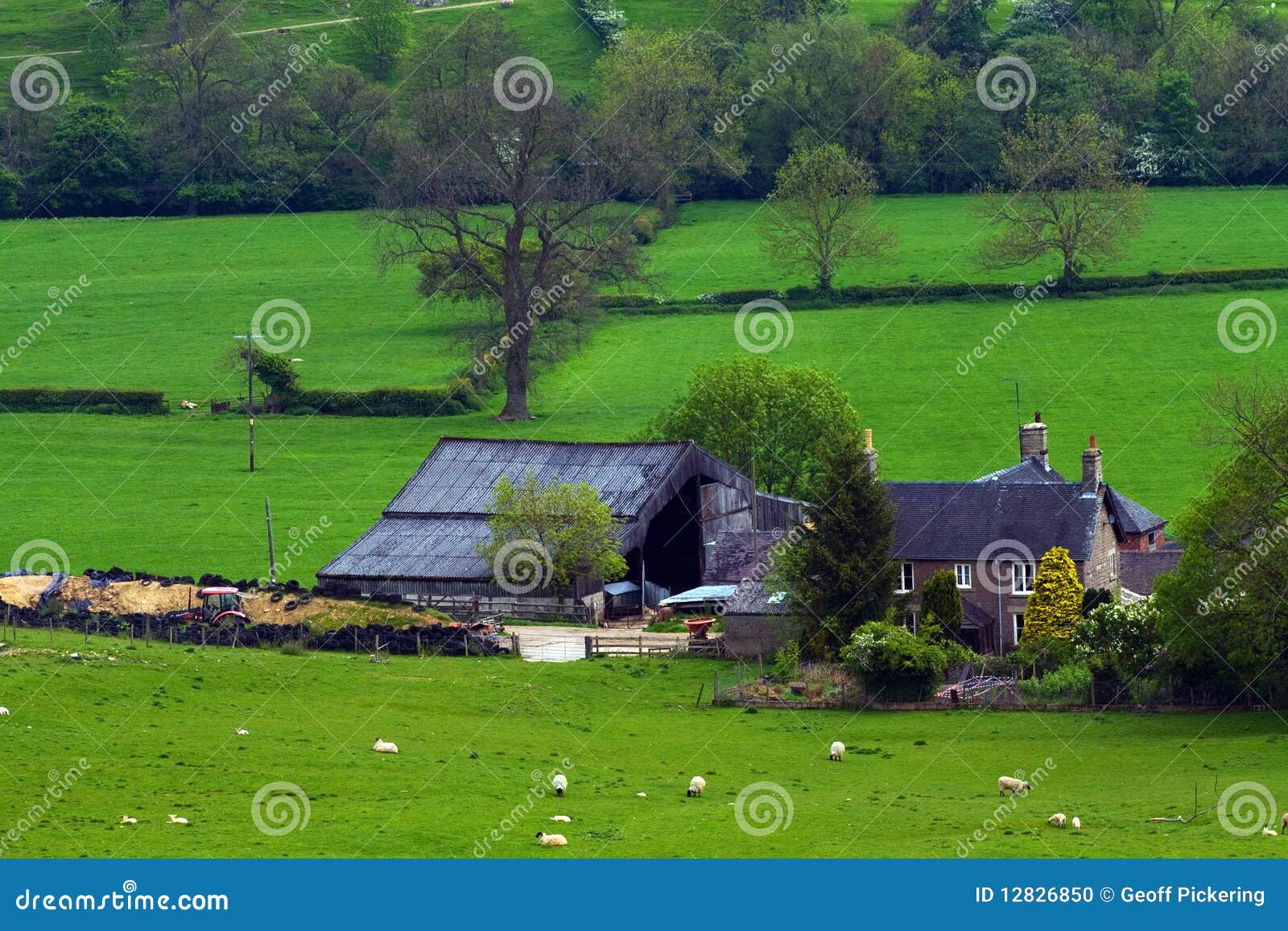 Fields and Meadows stock photo. Image of horizontal, crops - 12826850