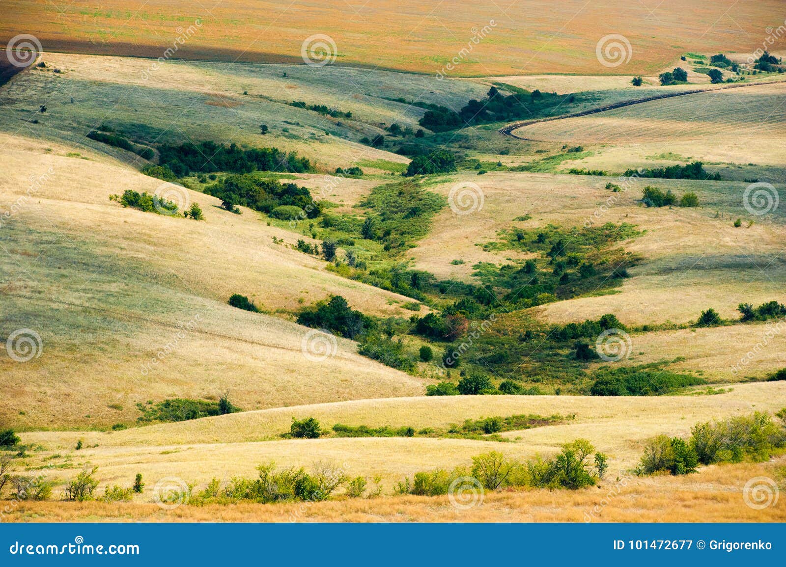 Fields and Meadows. Aerial View. Landscape. Stock Image - Image of view ...