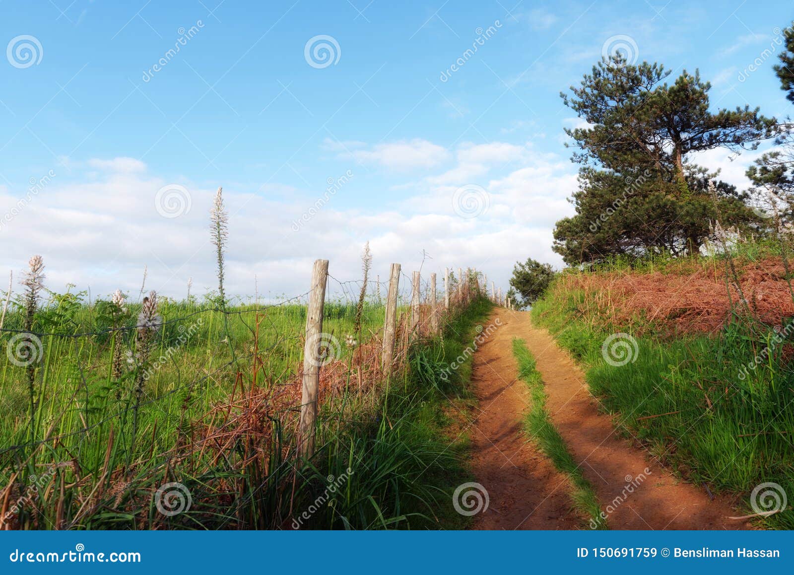 Footpath in the Basque Country Stock Image - Image of country, europe ...