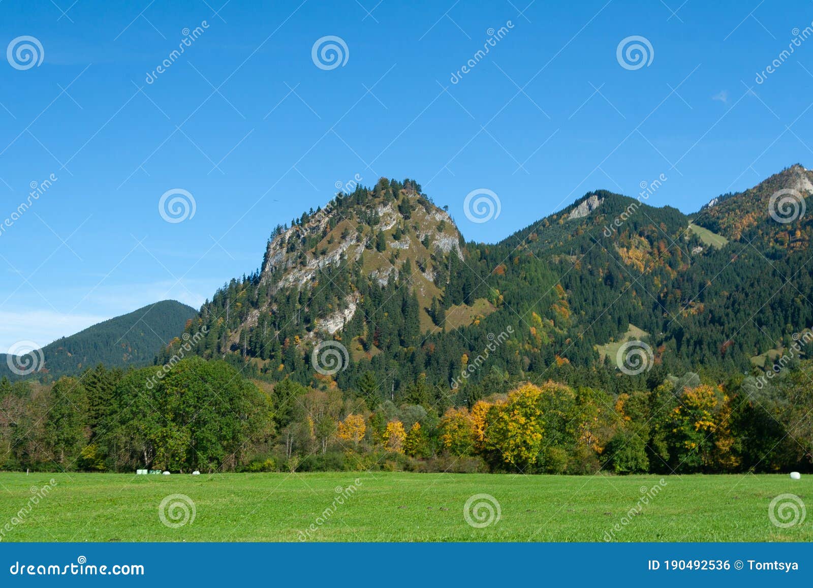 Fields and Meadows of Bavarian Alps, Germany Stock Photo - Image of ...