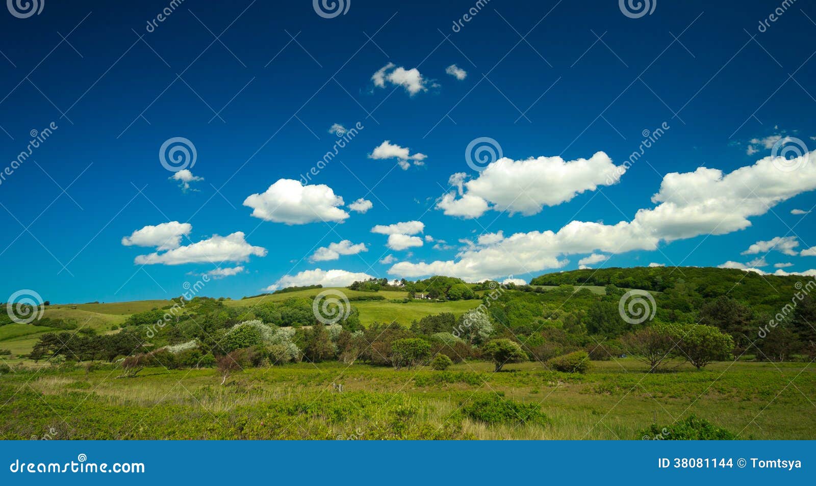 Fields and Meadows of Denmark Stock Photo - Image of agriculture ...