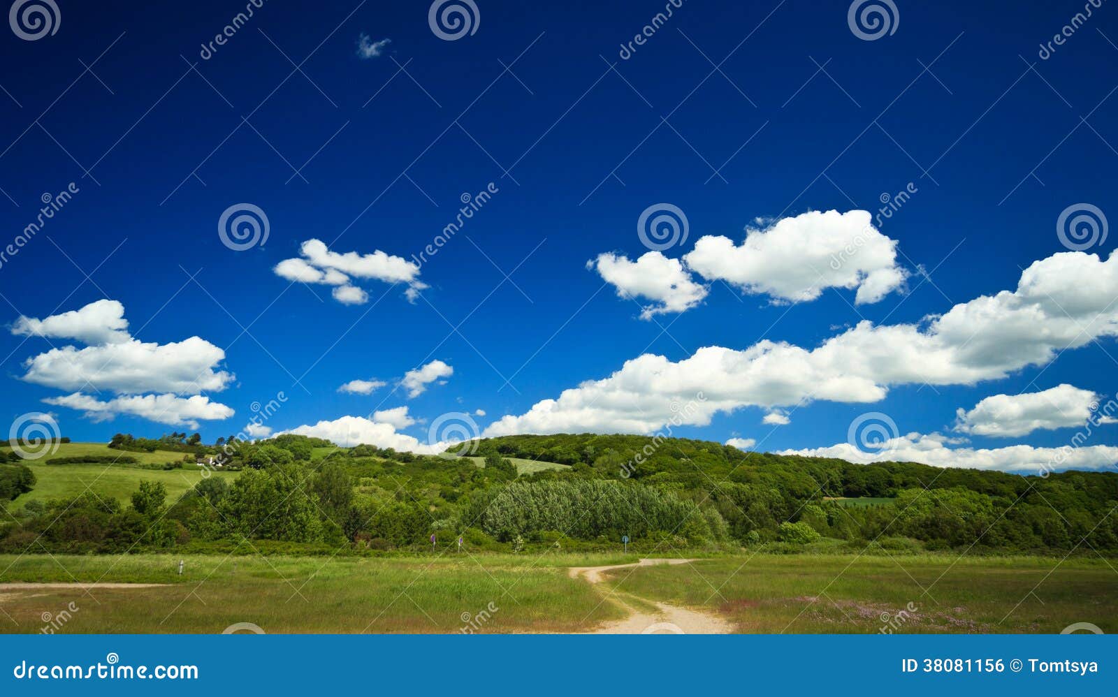 Fields and Meadows of Denmark Stock Photo - Image of agriculture ...