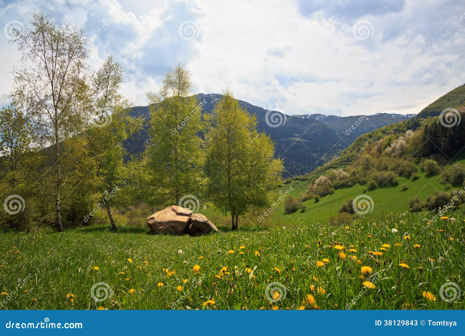 Fields and Meadows of Denmark Stock Image - Image of cloudscape, bright ...