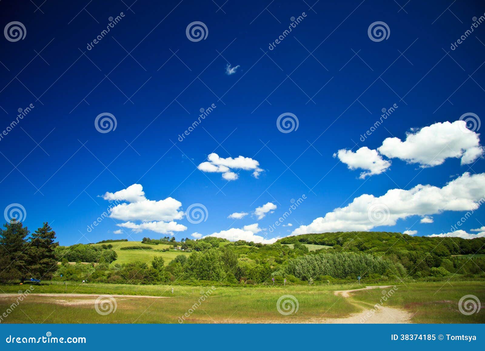 Fields and Meadows of Denmark Stock Image - Image of grassland, pasture ...