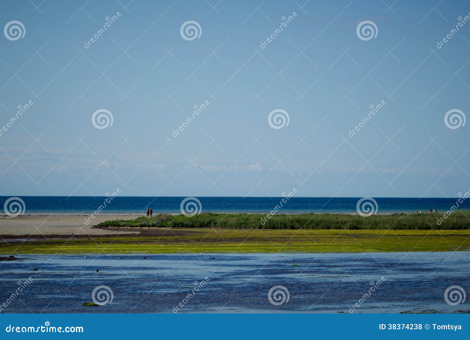 Fields and Meadows of Denmark Stock Photo - Image of grassland, horizon ...