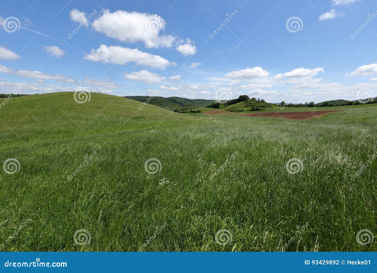 Fields and Meadows in Germany Stock Photo - Image of agriculture ...