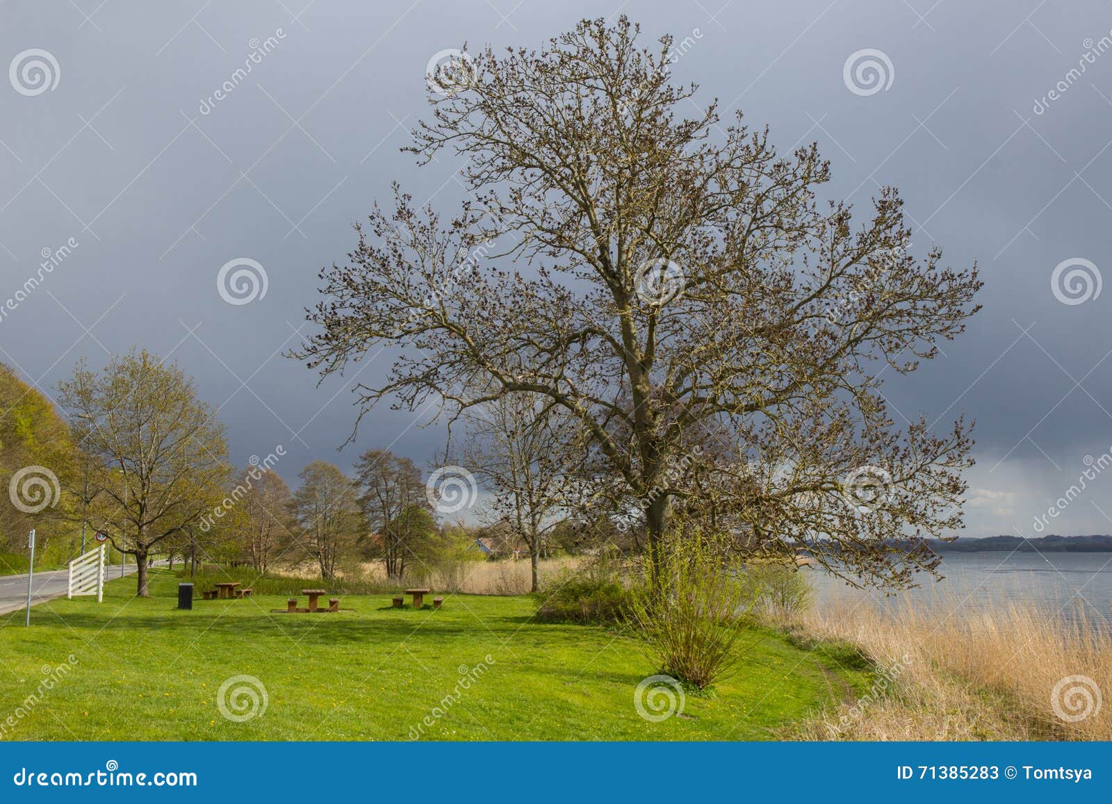 Fields and Meadows of Jutland Stock Image - Image of denmark, landscape ...