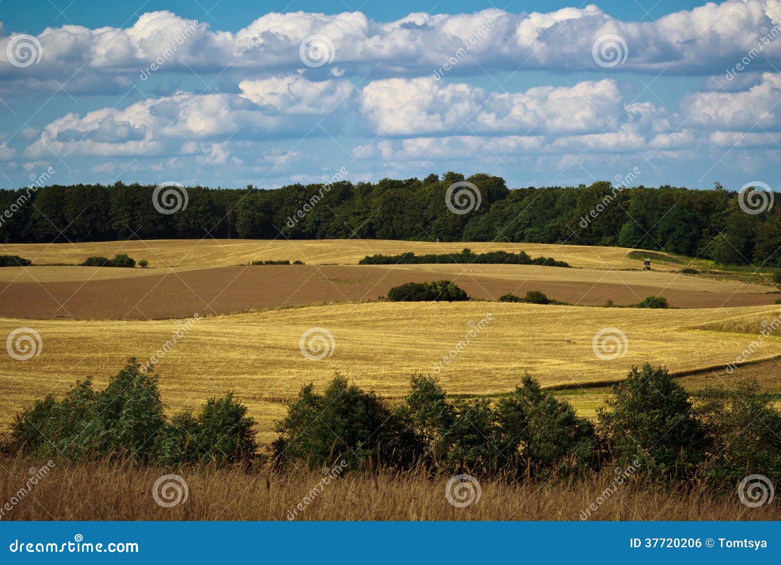 Fields and Meadows of Scania, Sweden Stock Photo - Image of environment ...