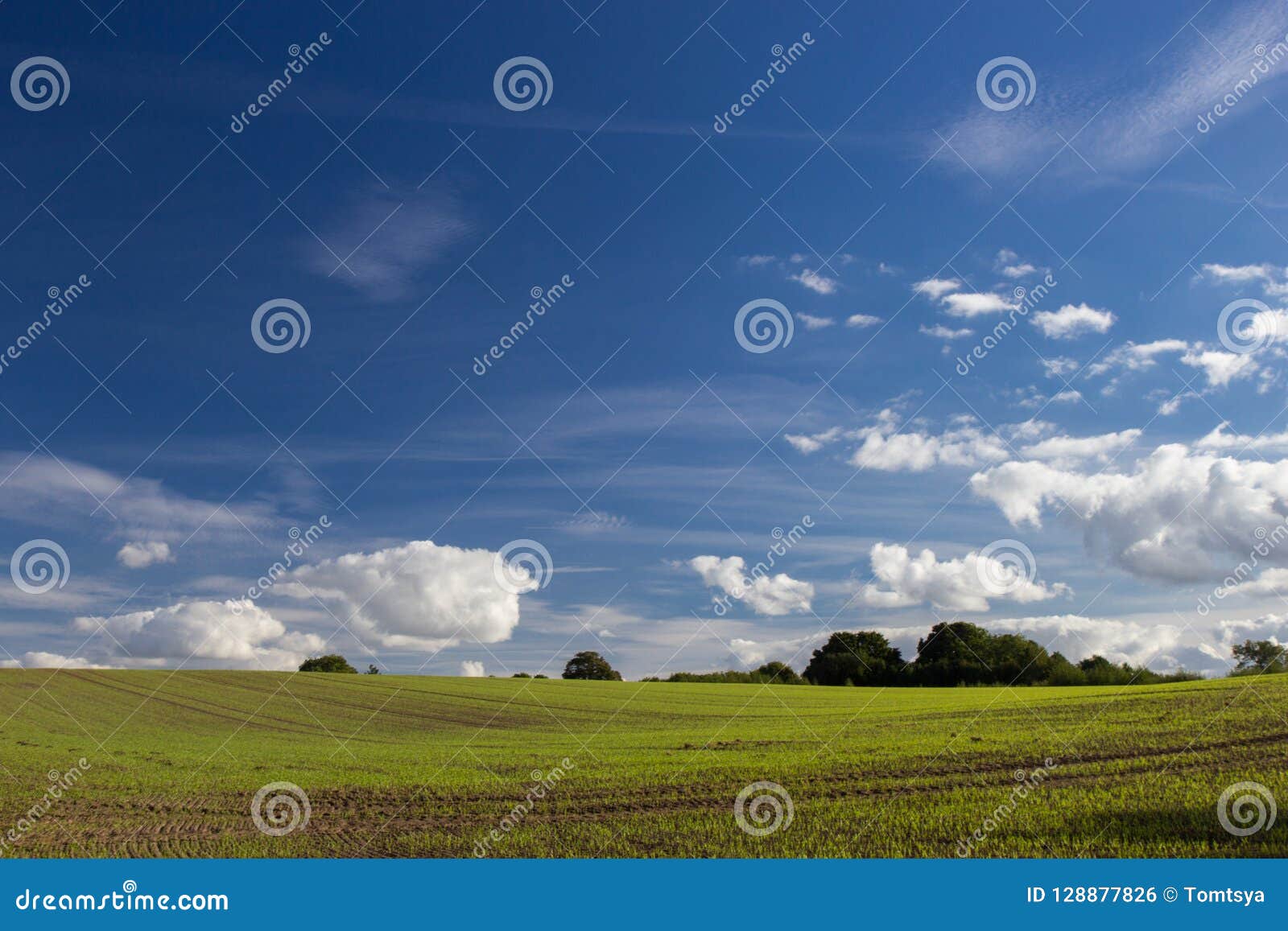 Fields and Meadows of the Sjelland, Denmark Stock Photo - Image of ...
