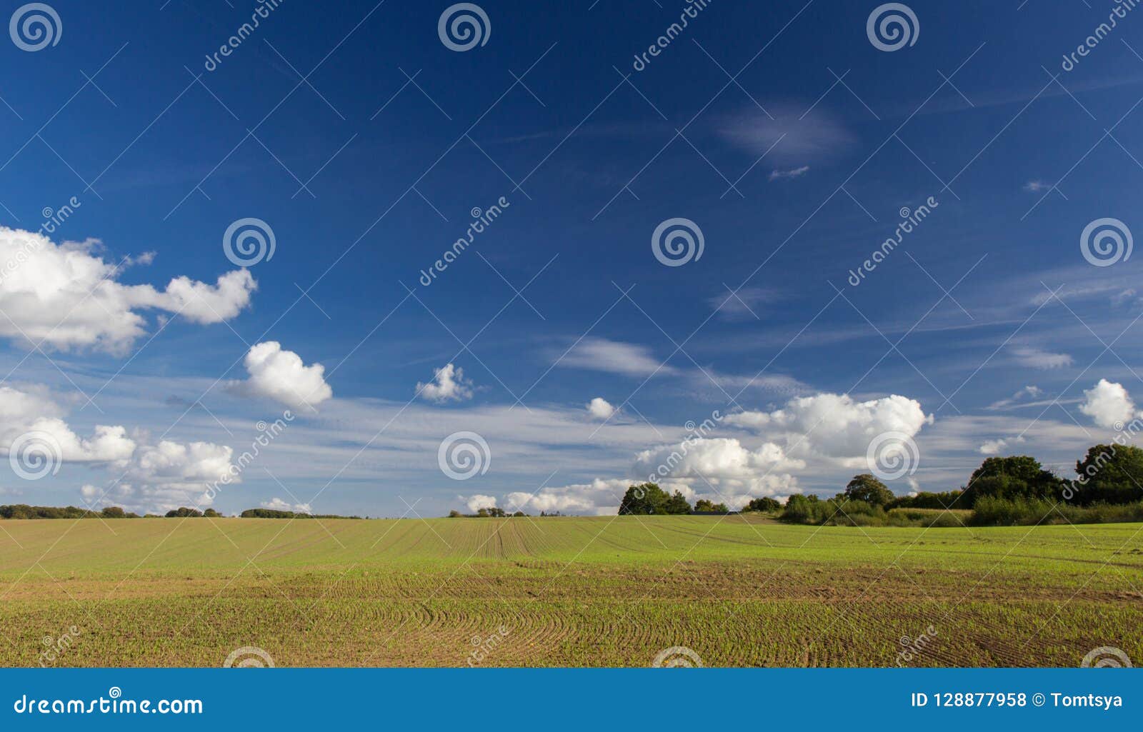 Fields and Meadows of the Sjelland, Denmark Stock Photo - Image of food ...