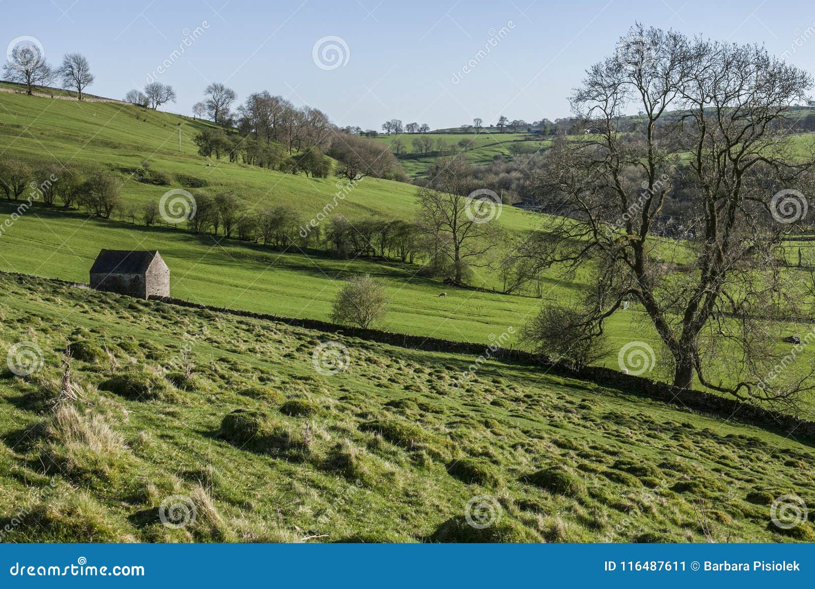 Fields, Meadows and Trees, Peak District, England, the UK. Stock Image ...