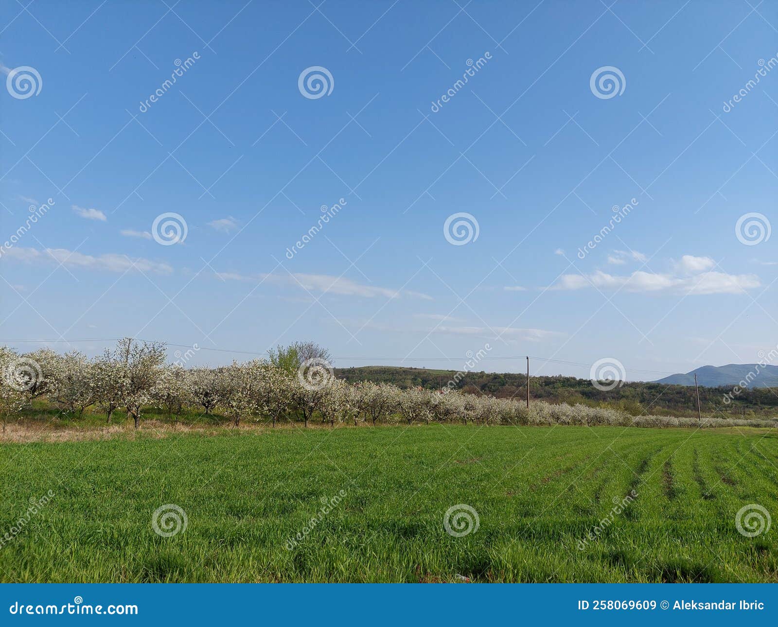Fields in the Middle of the Afternoon Stock Image - Image of horizon ...