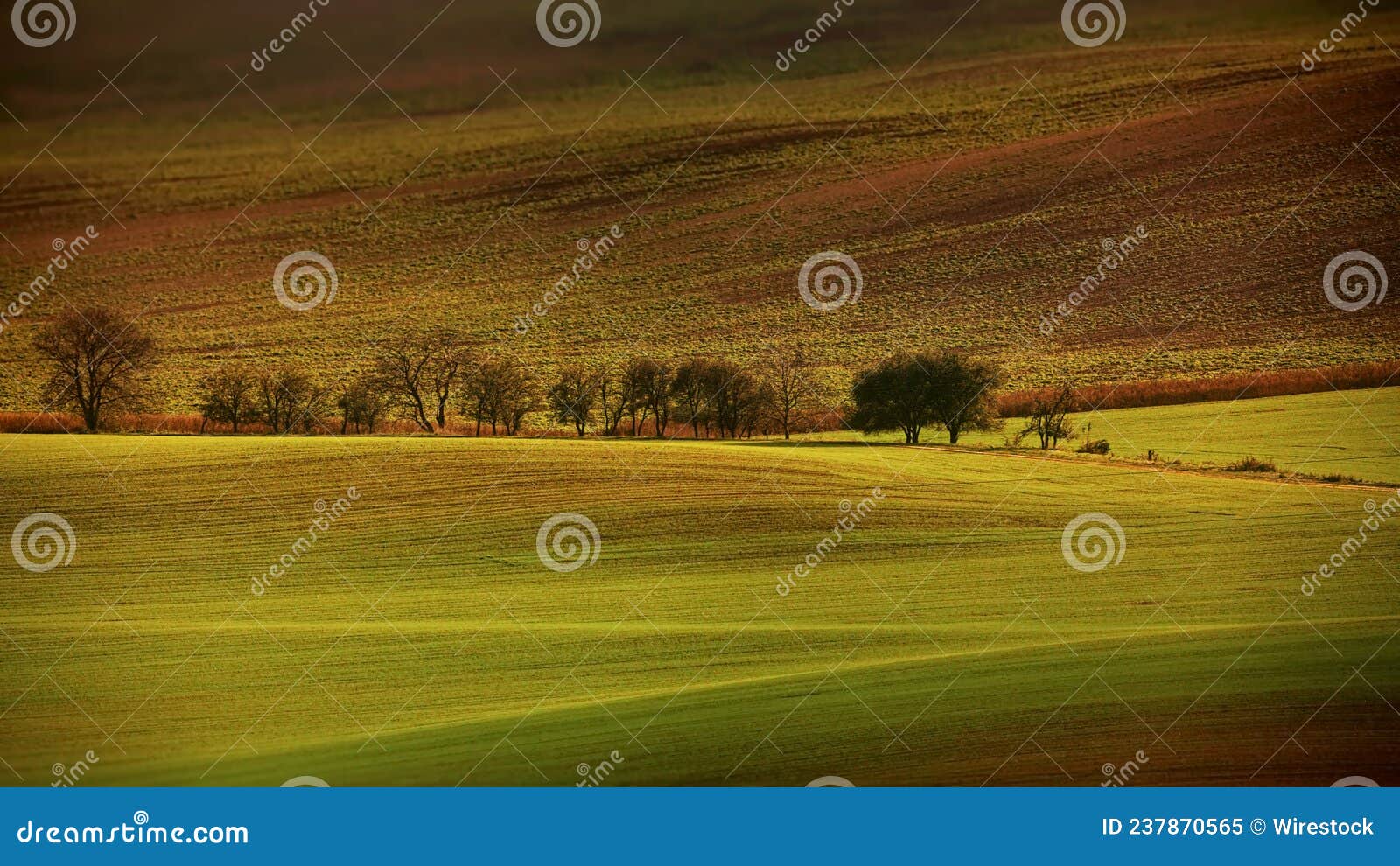 Fields of Moravia, Czech Republic Stock Image - Image of sunset, summer ...