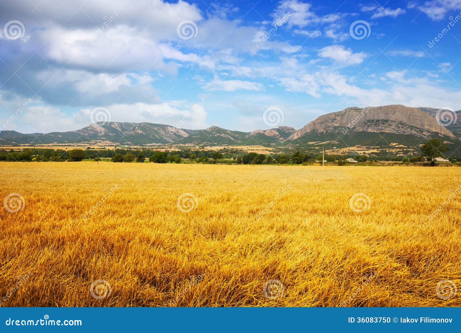 Fields at mountain valley stock photo. Image of meadow - 36083750