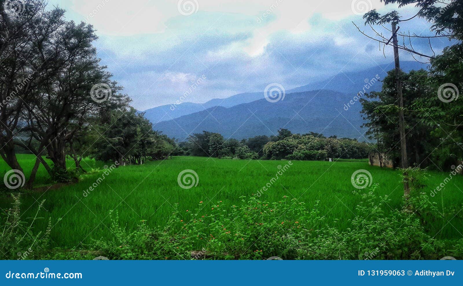 Fields and mountains stock image. Image of nature, fields - 131959063