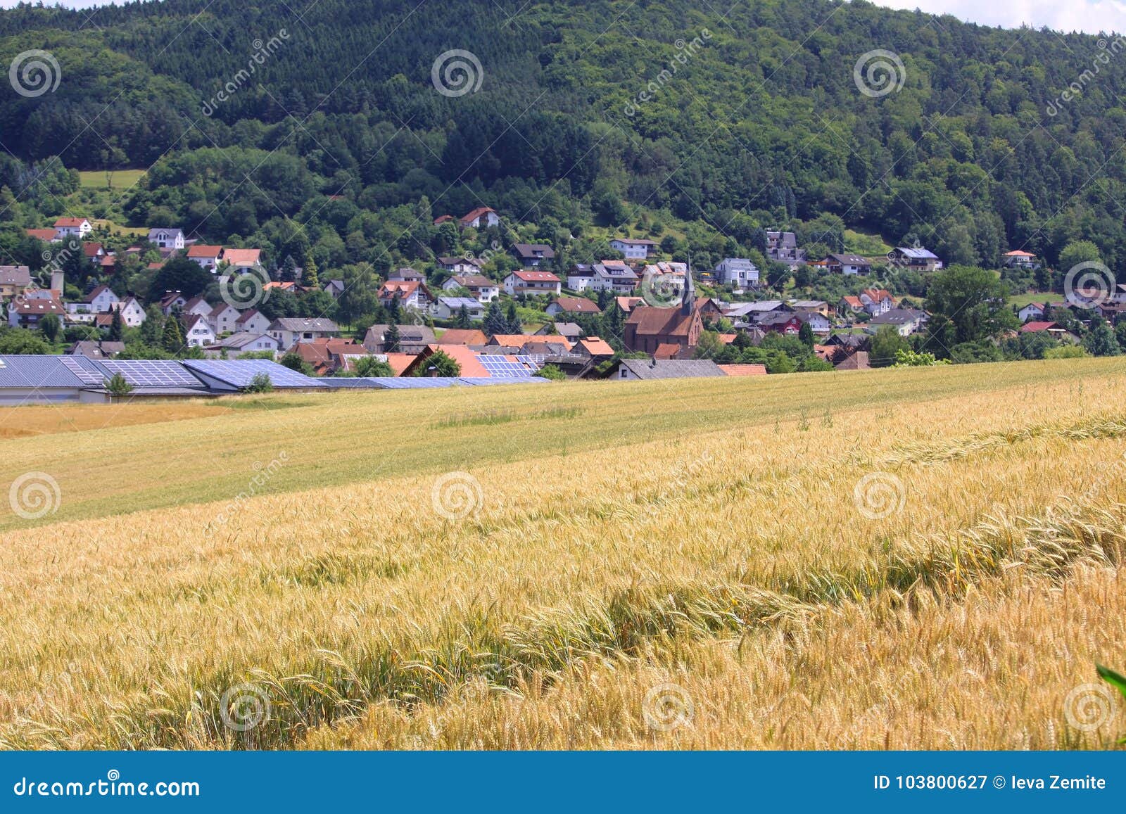 Wheat Fields in the Mountains of Germany, Bodingheim Stock Image ...
