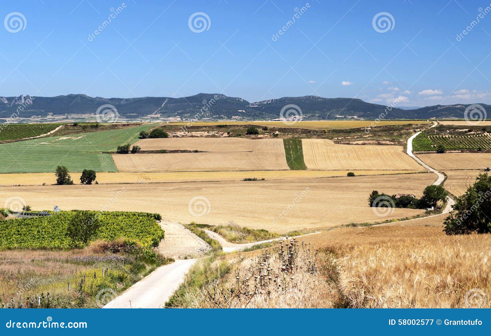 Fields in the Mountains of Soria Stock Image - Image of garden ...