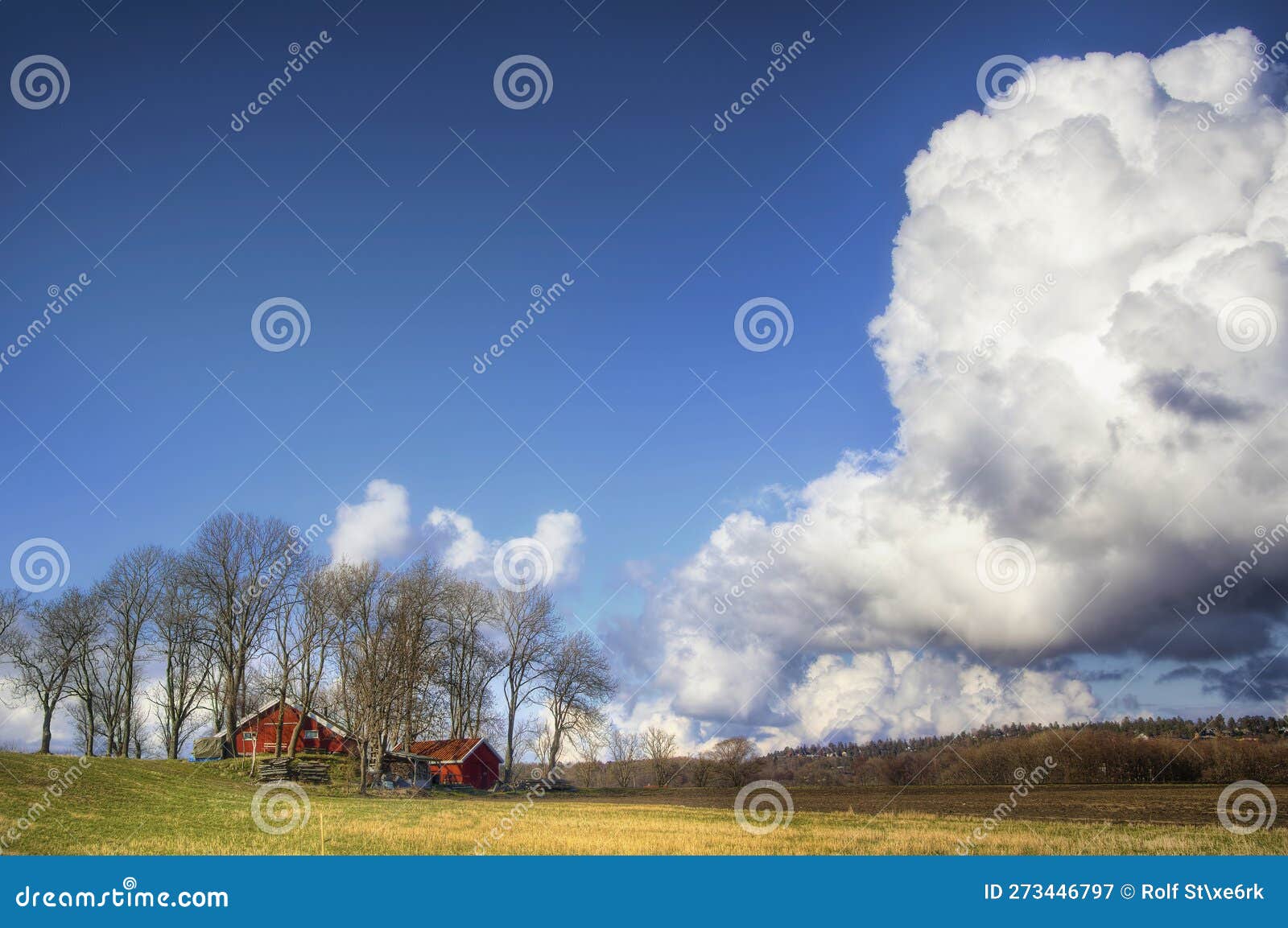 The Fields Near Alby on Jeløy in Moss, Norway Stock Image - Image of ...