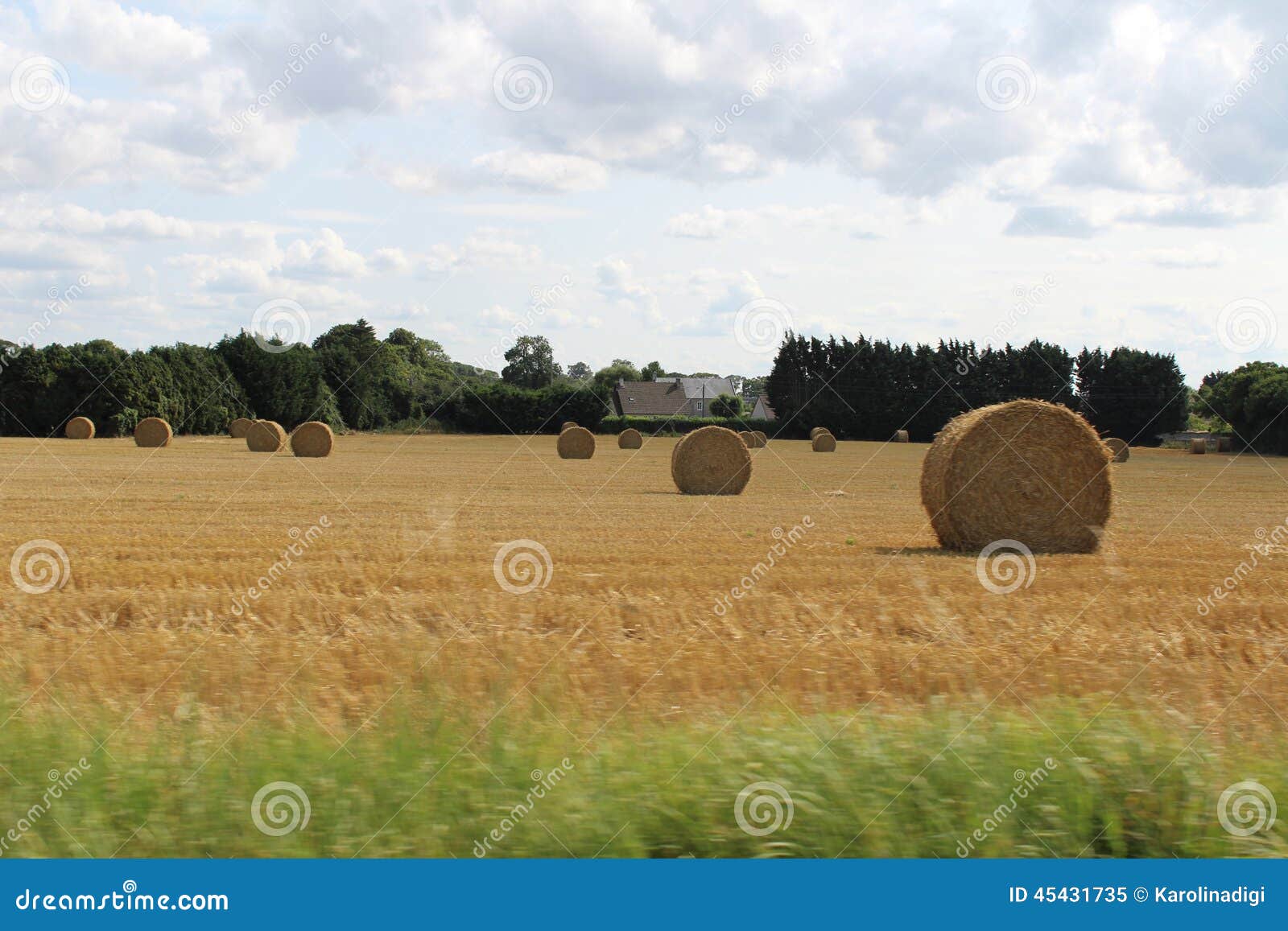 Fields of Normandy, France stock image. Image of franch - 45431735
