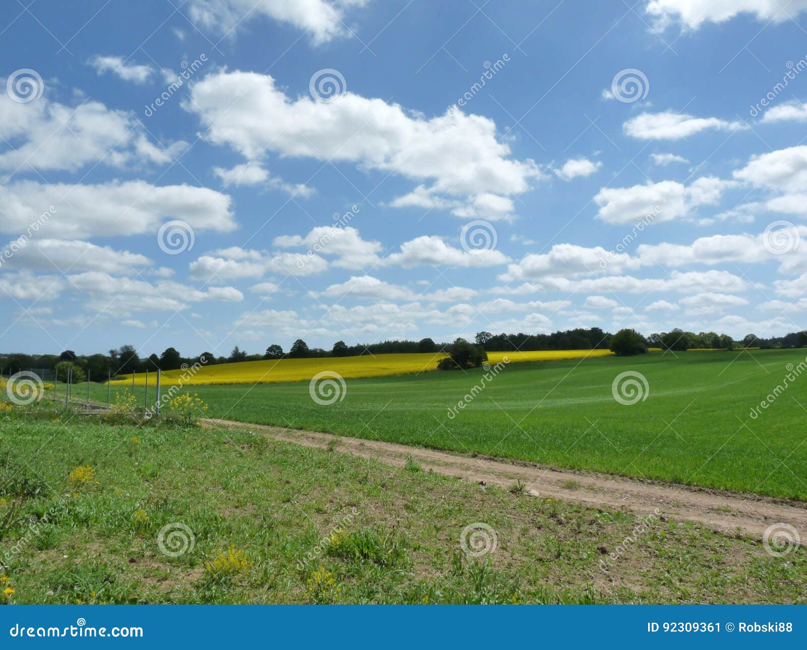Fields in northern Poland stock image. Image of view - 92309361
