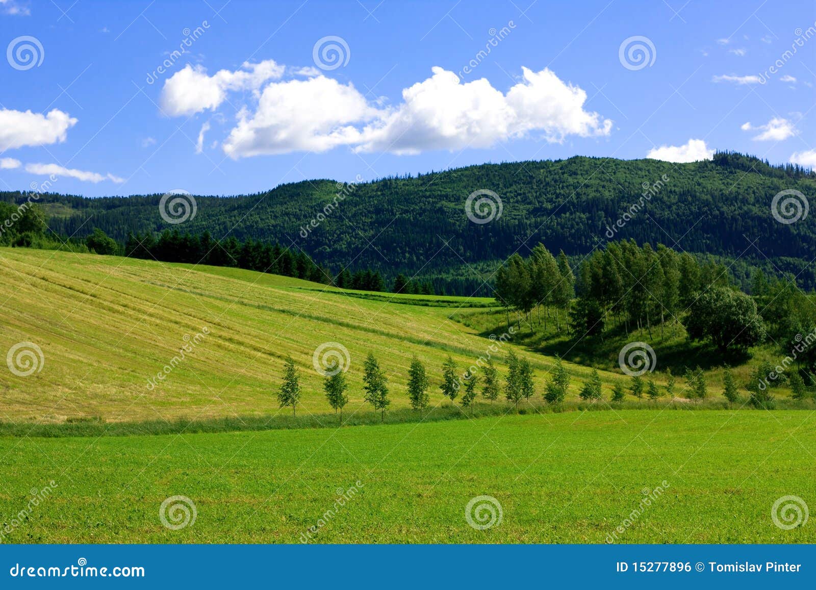 Fields in Norway stock photo. Image of clouds, grass - 15277896