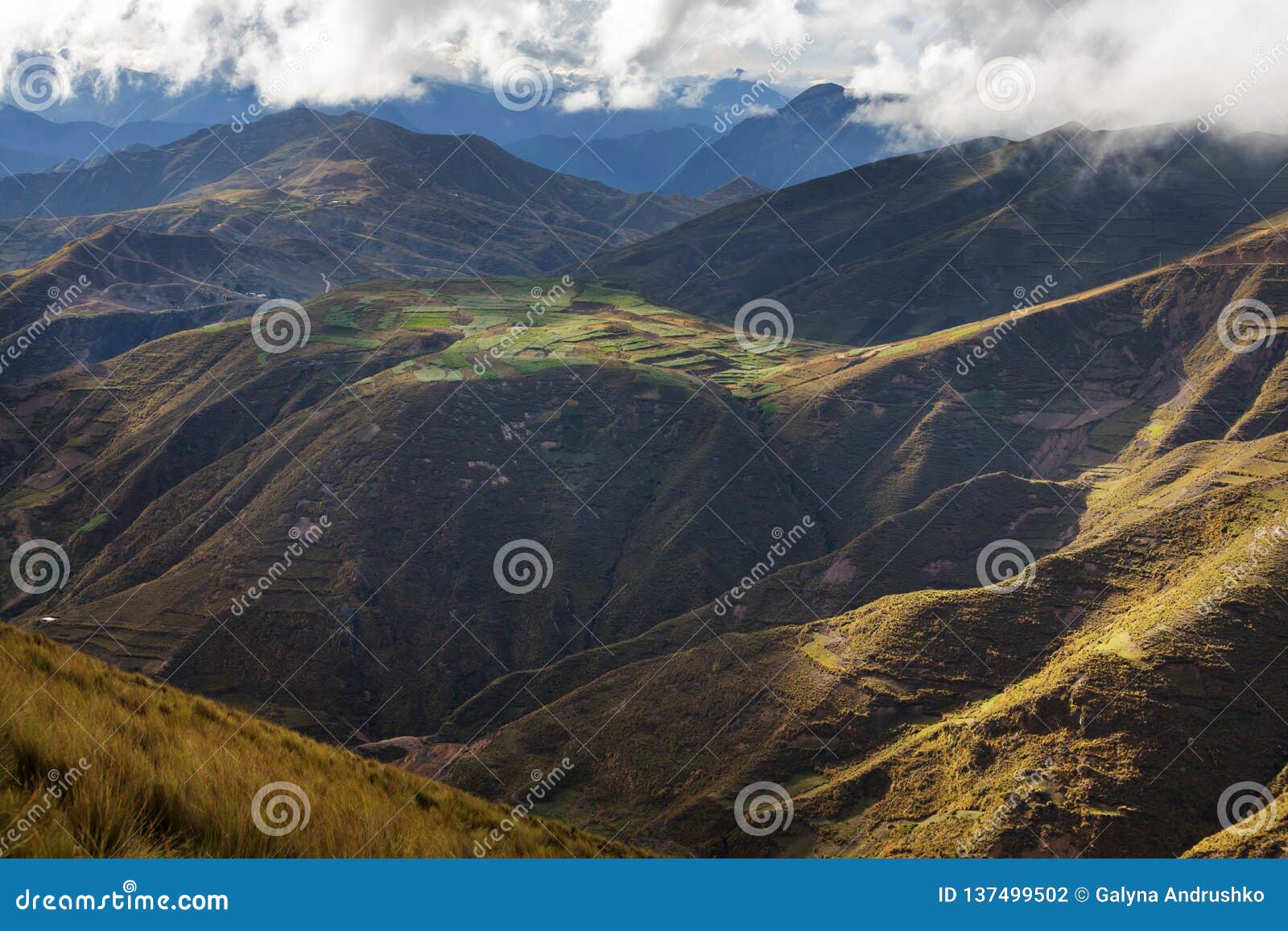 Fields in Peru stock photo. Image of environment, agricultural - 137499502