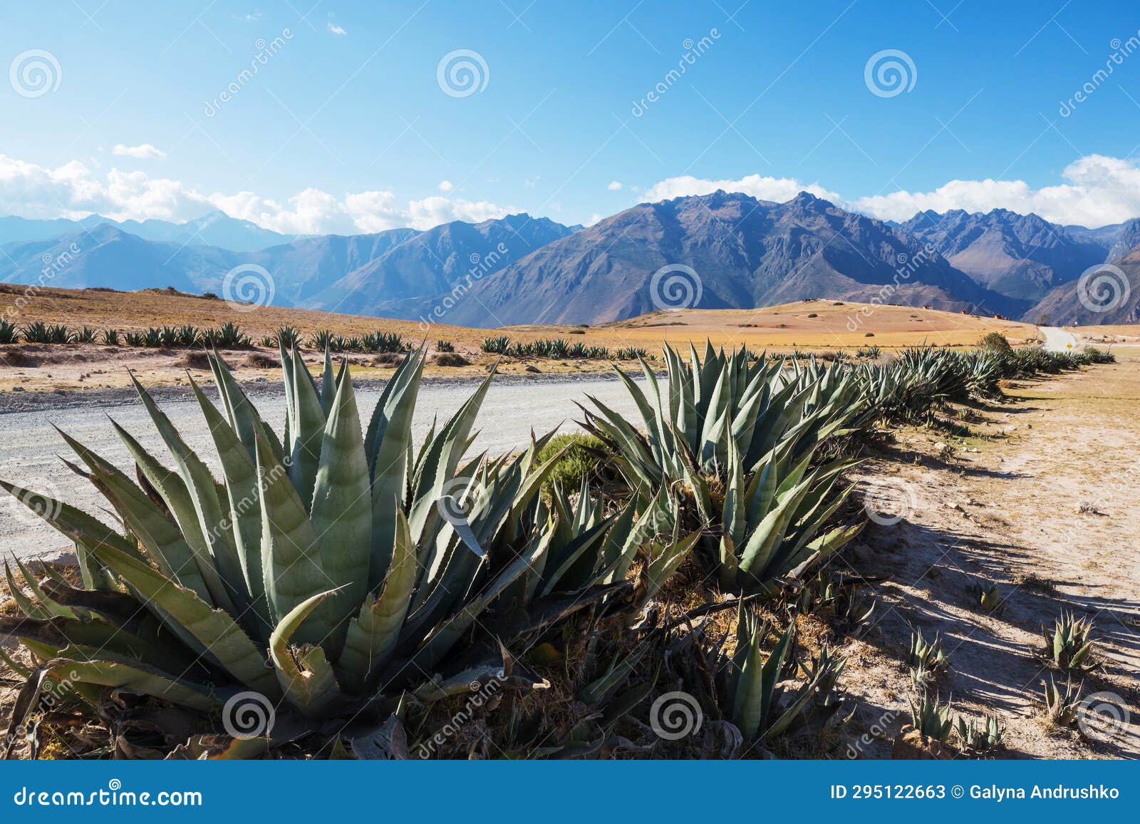 Fields in Peru stock image. Image of morning, countryside - 295122663