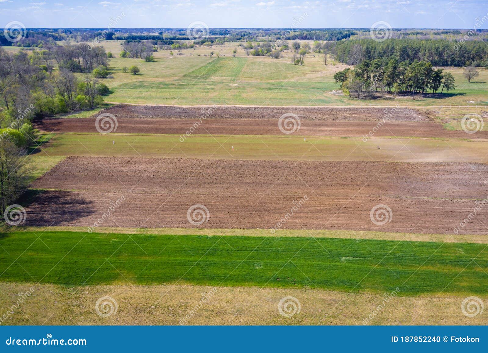 Fields in Poland stock photo. Image of grain, growing - 187852240