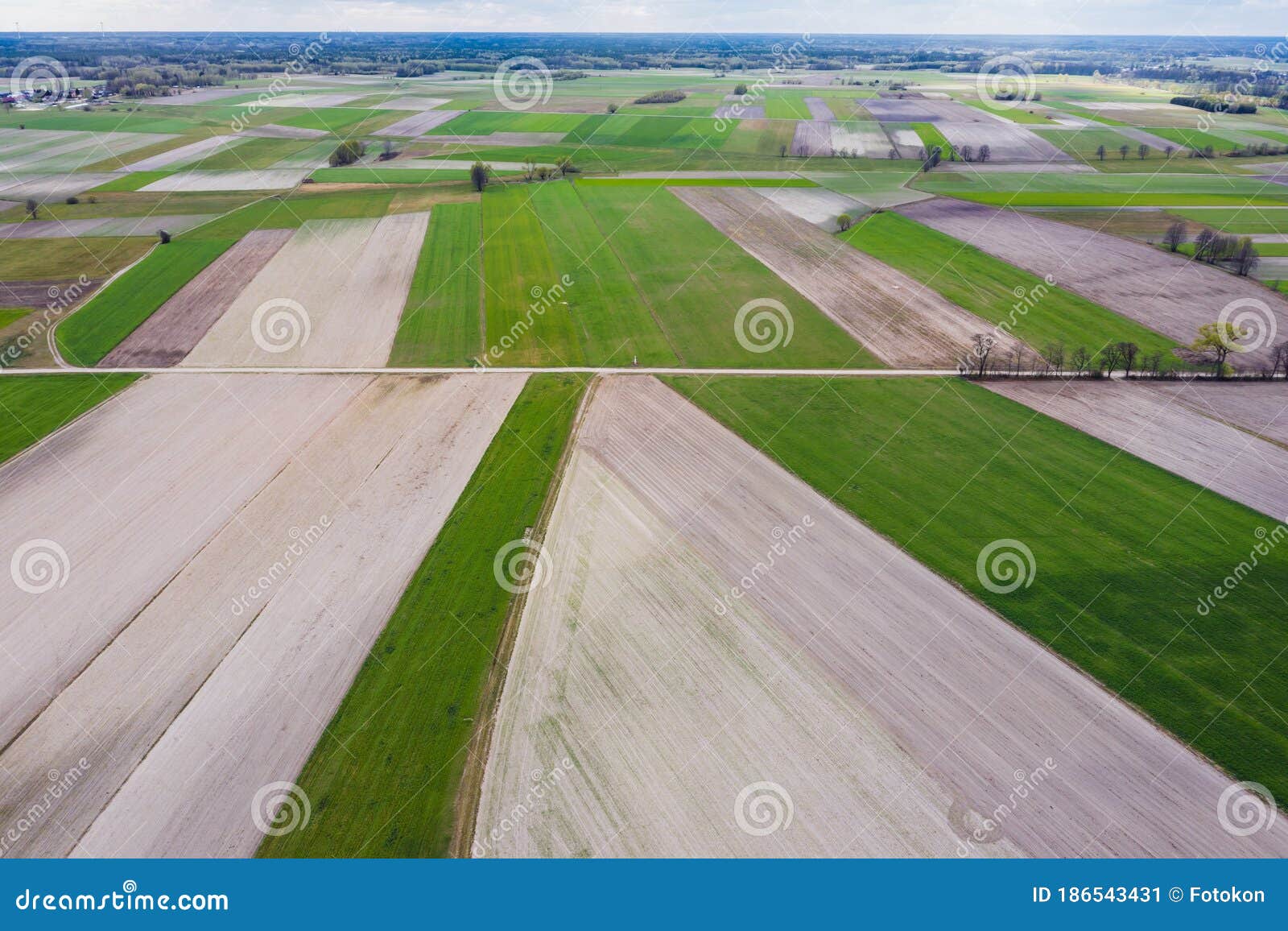 Fields in Poland stock image. Image of corn, arable - 186543431