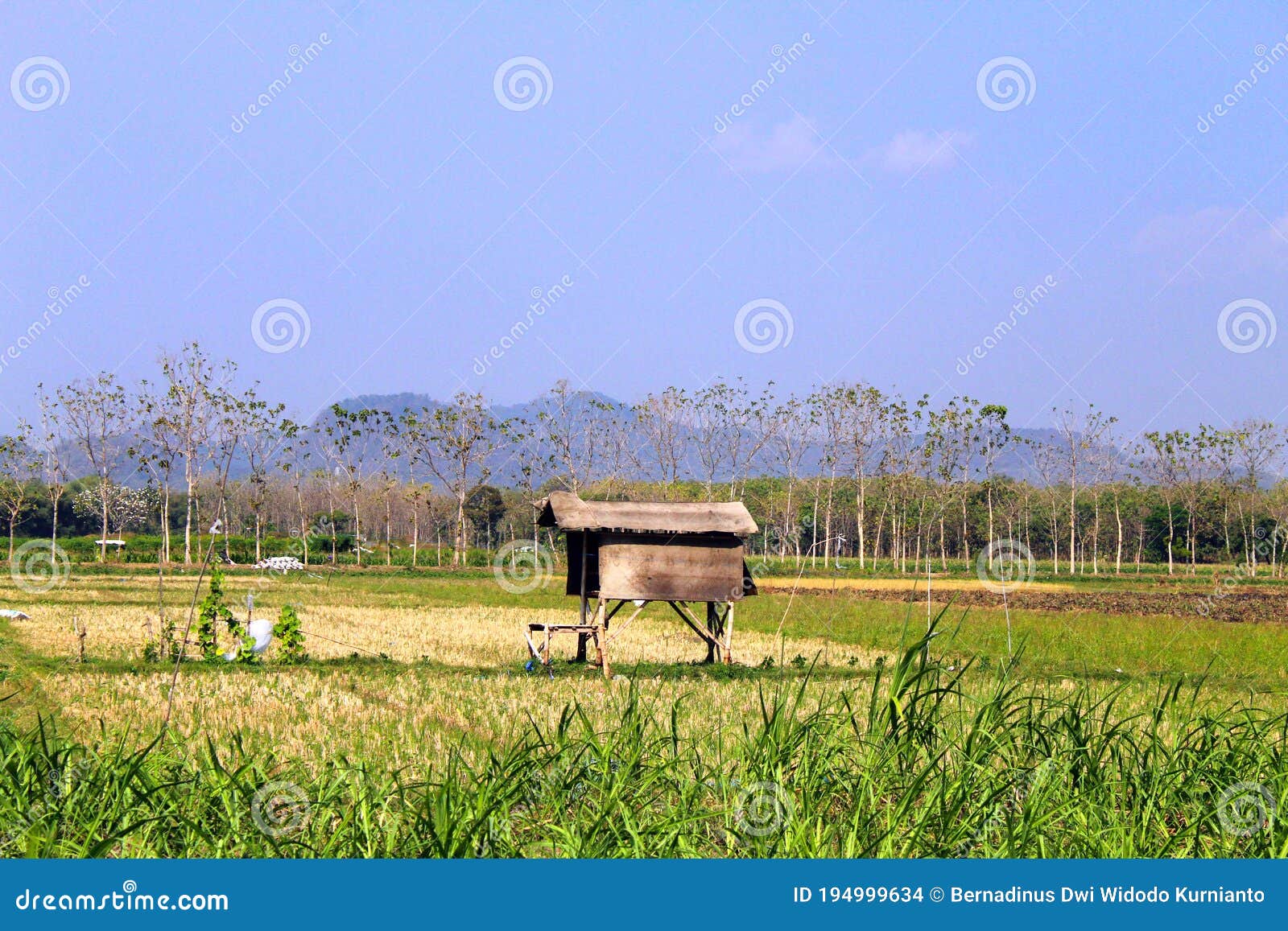 Simple Fields and Little Huts Stock Photo - Image of field, cloud ...