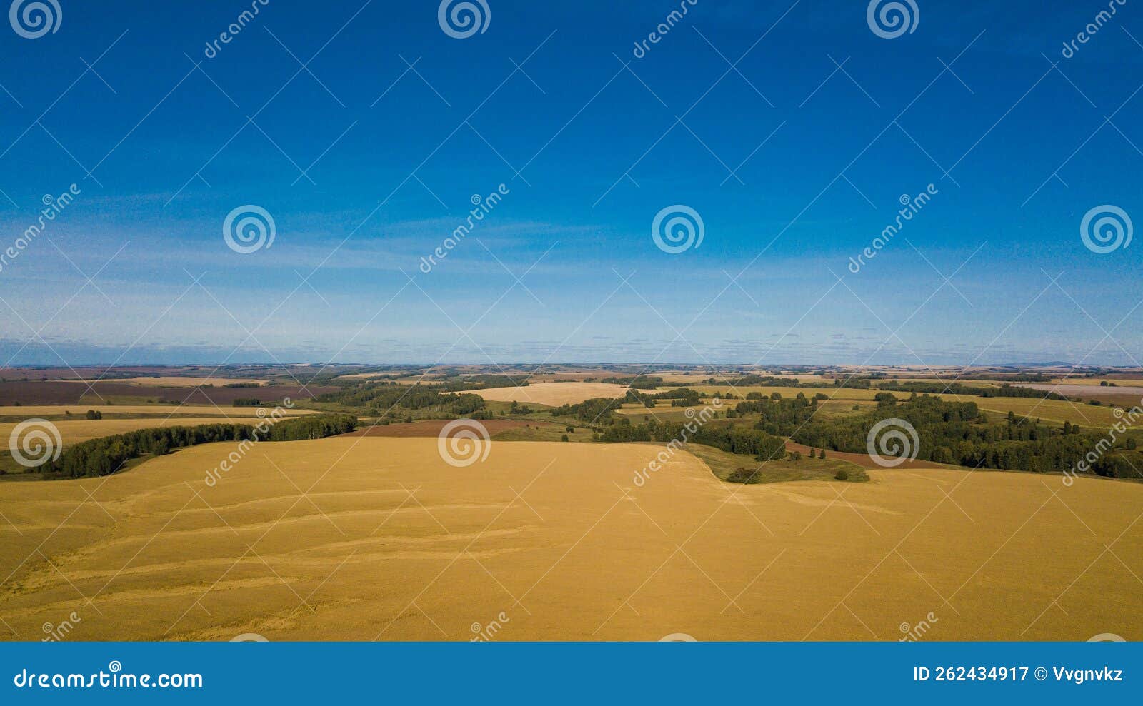 Fields with Ripe Wheat from a Bird S-eye View on a Clear Day Stock ...