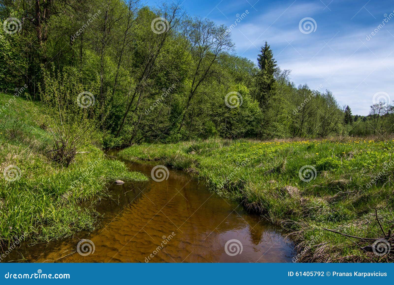 Fields river stock photo. Image of summer, green, field - 61405792