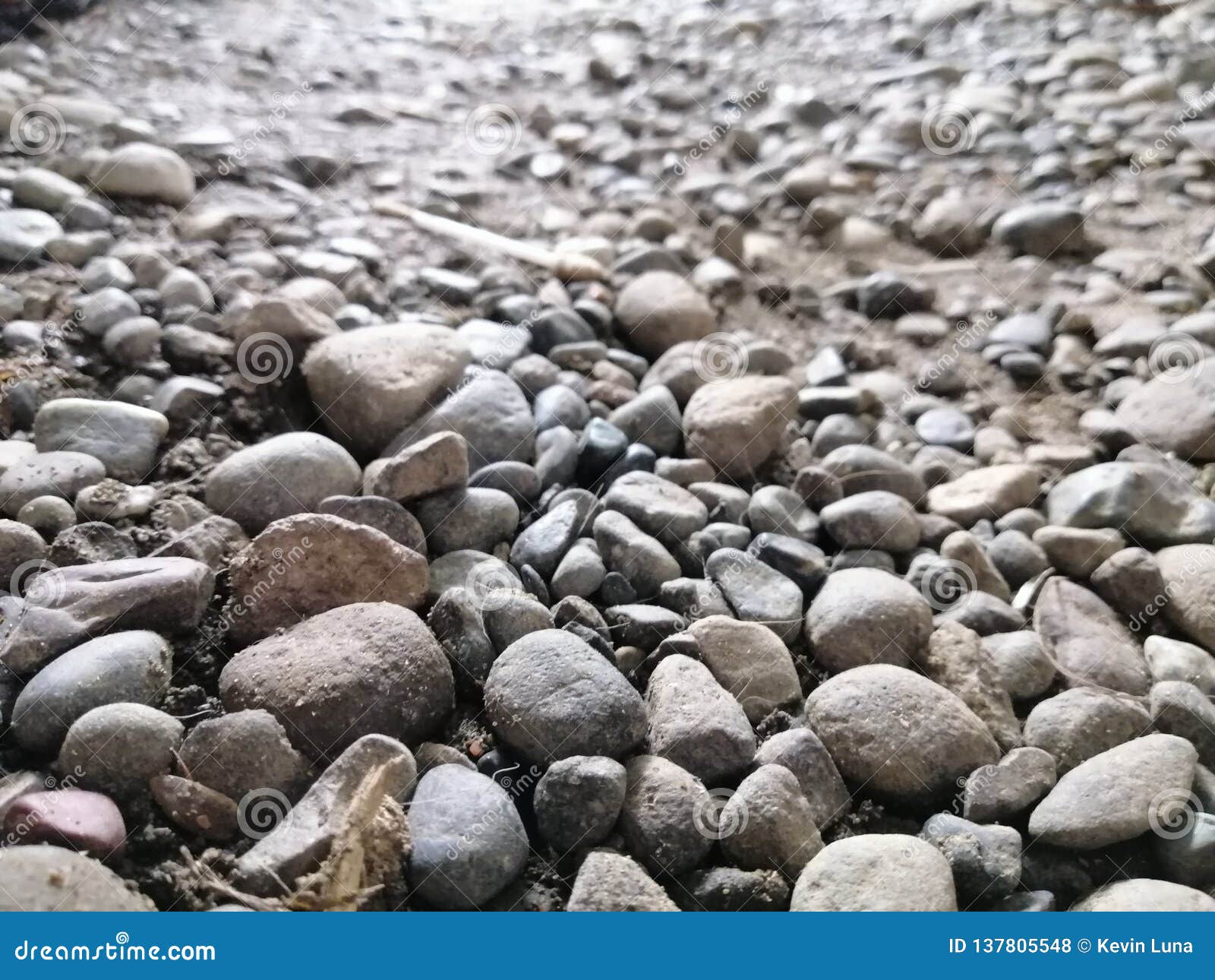 Fields of Rock stock photo. Image of stones, rock, fields - 137805548