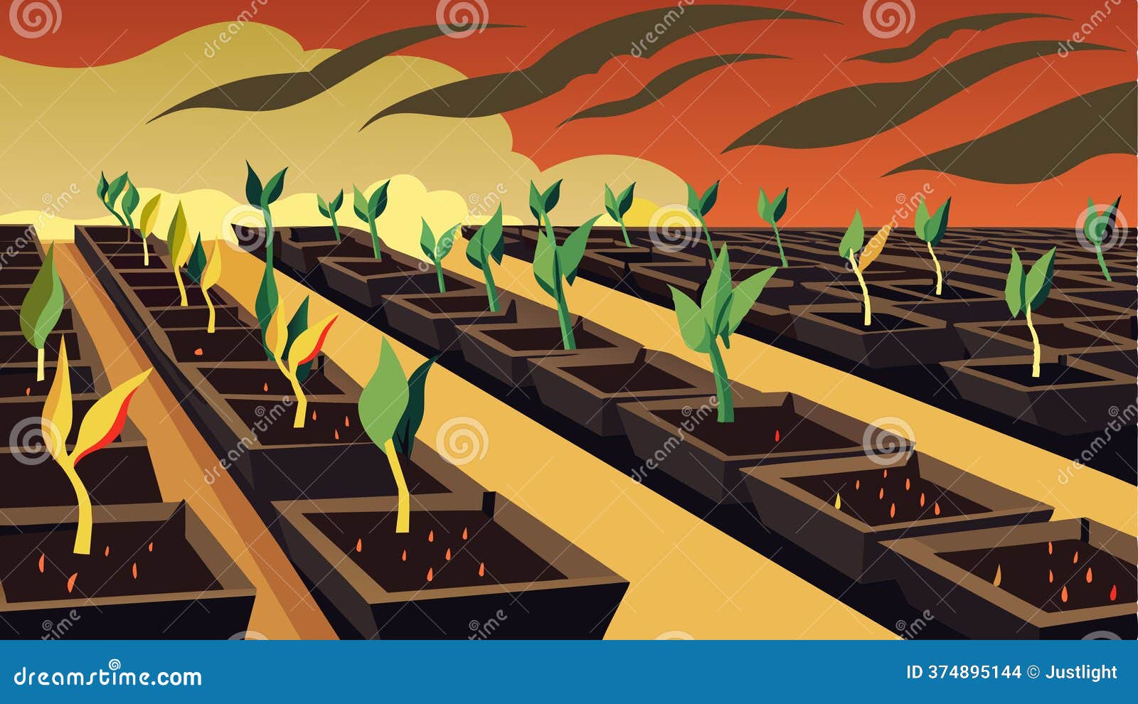 In The Fields Rows Of Empty Seedling Trays Stood Ast The Old Withered ...