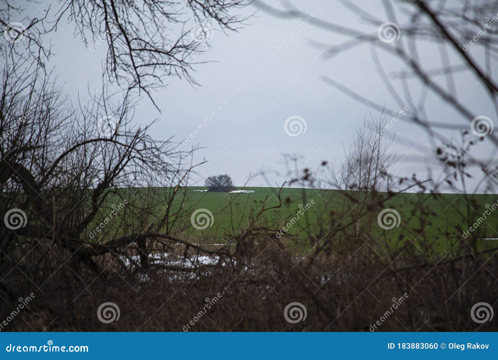 Fields of Russia in the Early Spring. Stock Photo - Image of russia ...