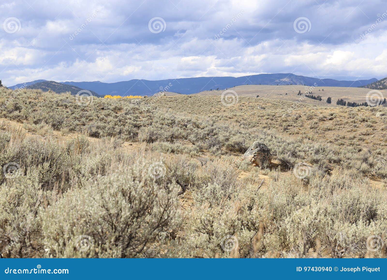 Fields of Sagebrush stock photo. Image of landscapes - 97430940