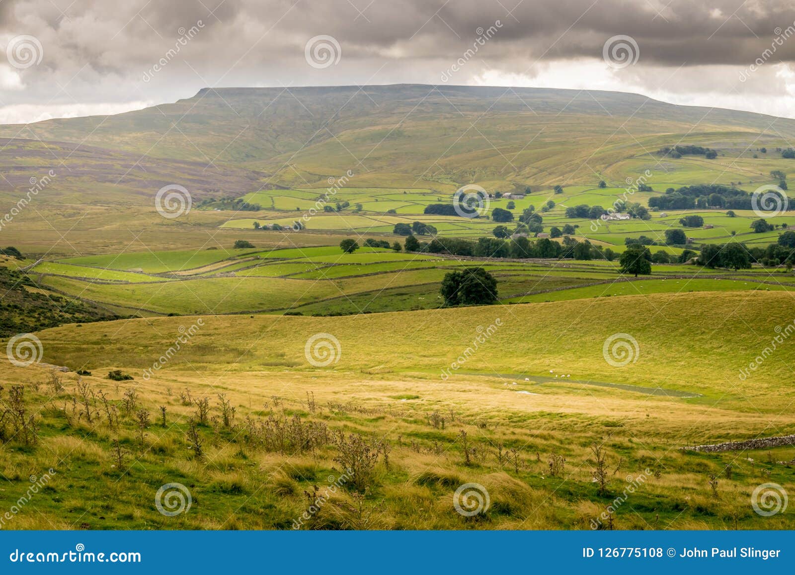 Fields and Sheep on Farm Land in a Valley with Rain Clouds Stock Photo ...