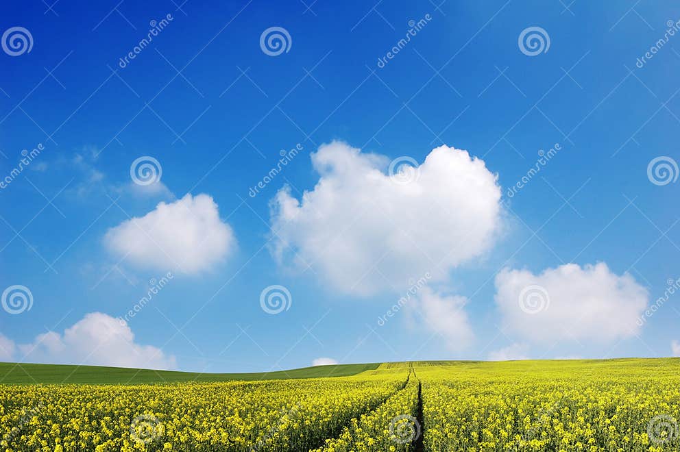 Fields and Sky stock image. Image of outdoors, earth, heavens - 2233887