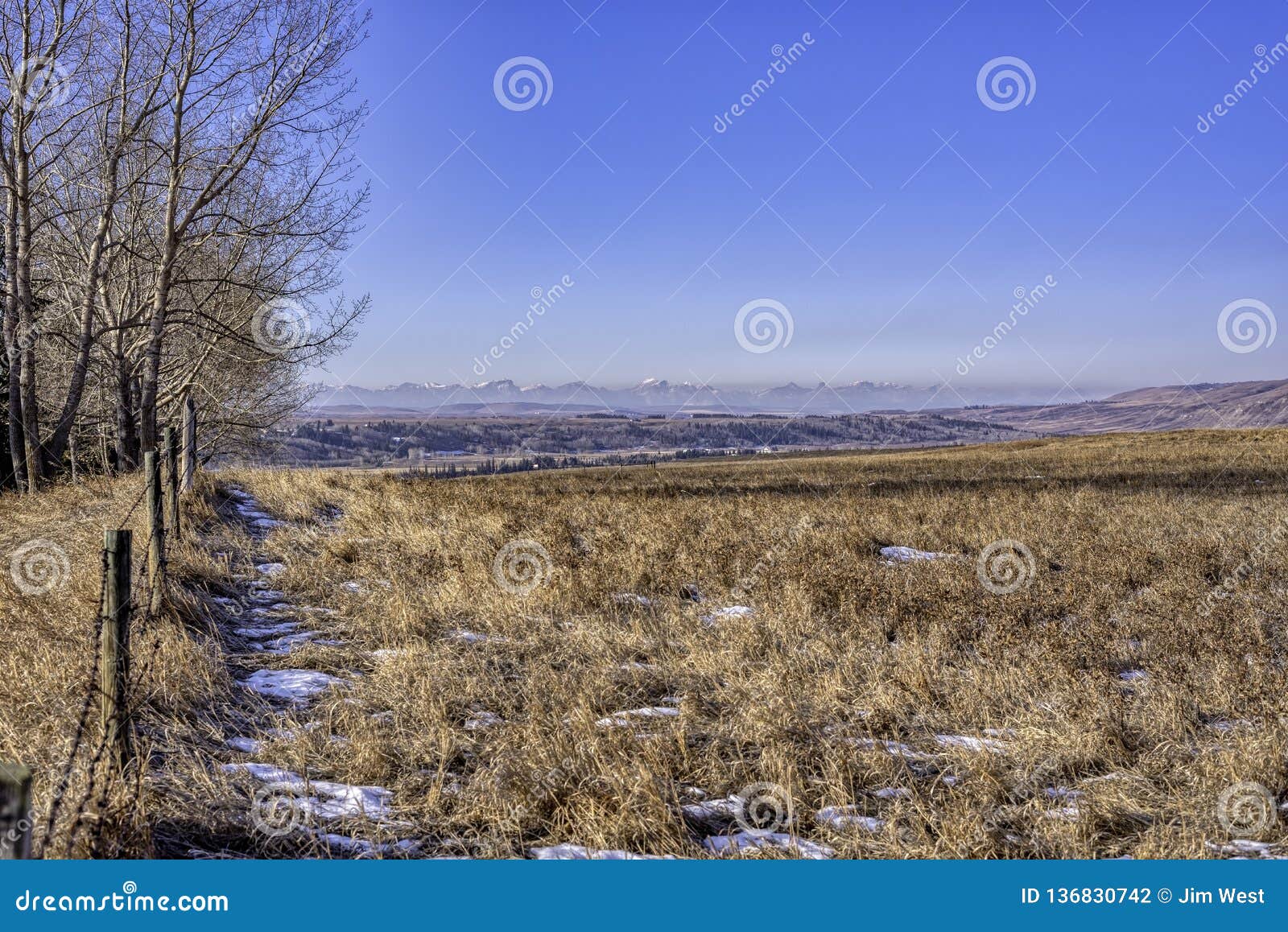 Fields of the Southern Alberta Foothills Stock Photo - Image of ranches ...